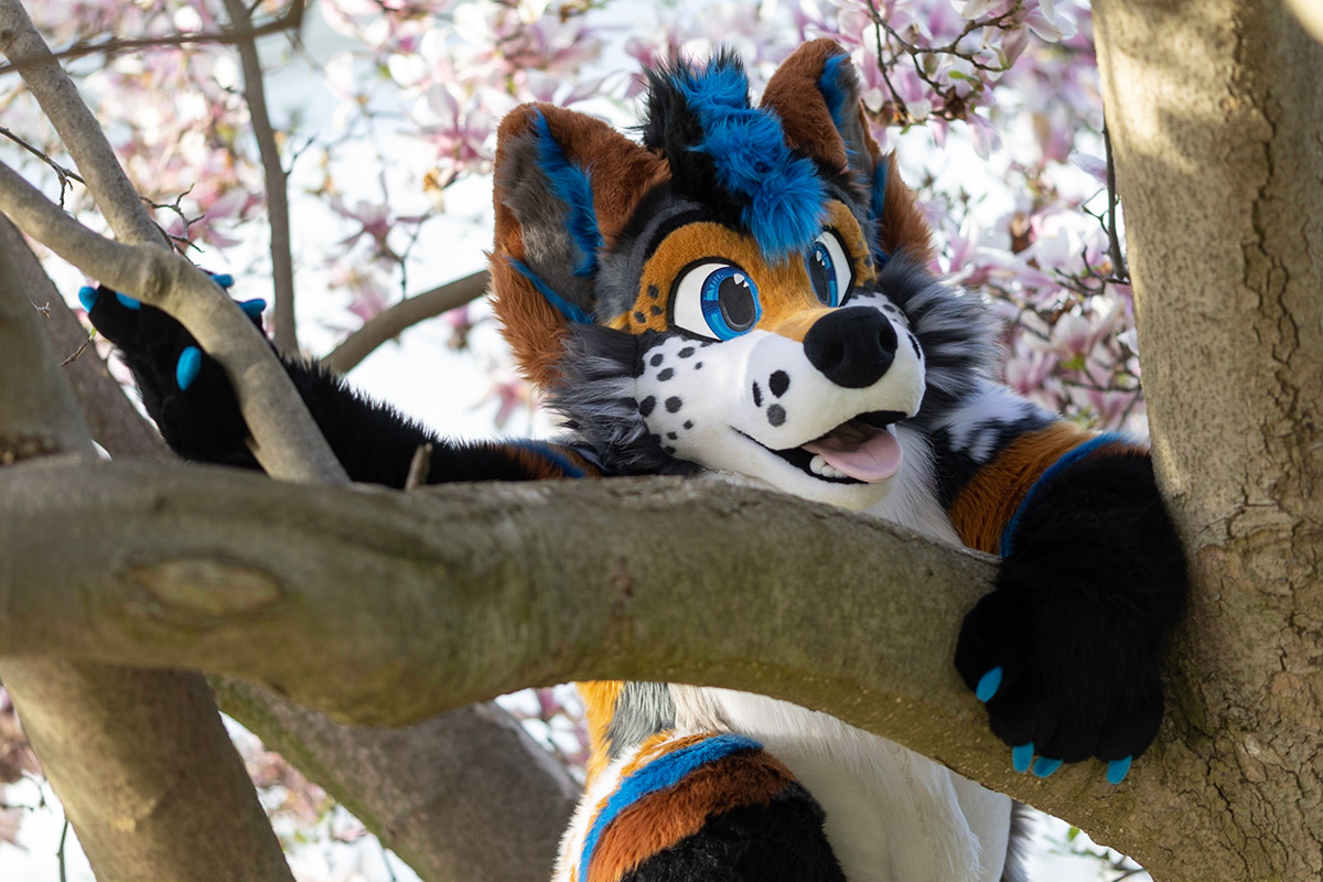 Furry Creatures Photography - Pardubice Photoshoot