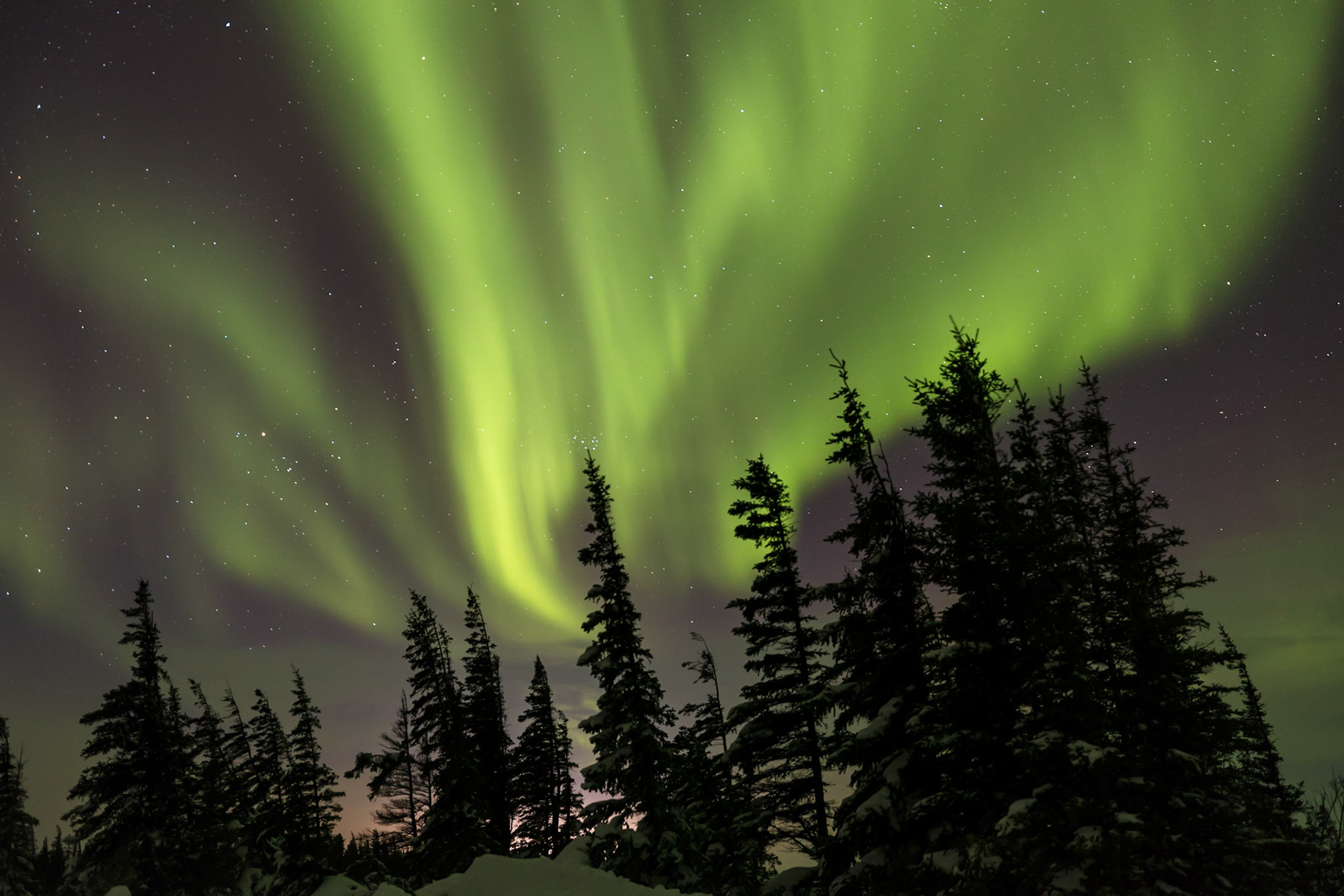 Andrew Partridge - Aurora Borealis