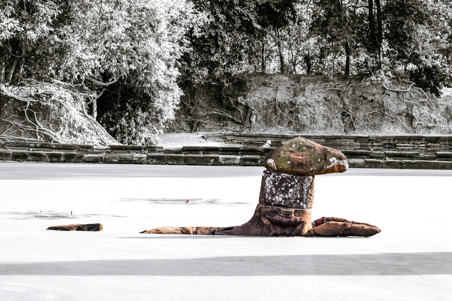 william little - Neak Poun and Preah Khan Temple