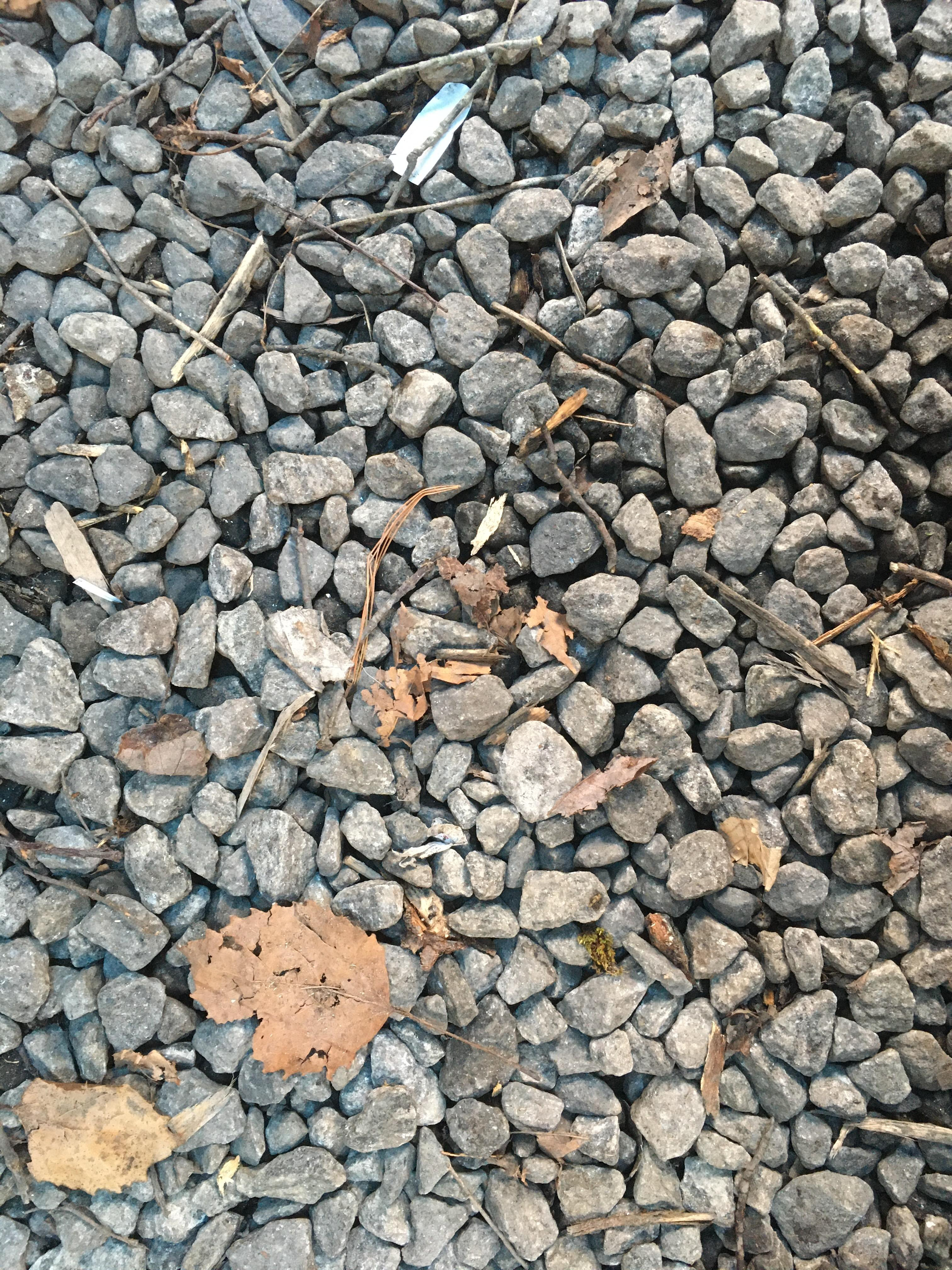 Ink Farm Creative - Fresh and Original for Print and Digital - ABOUT