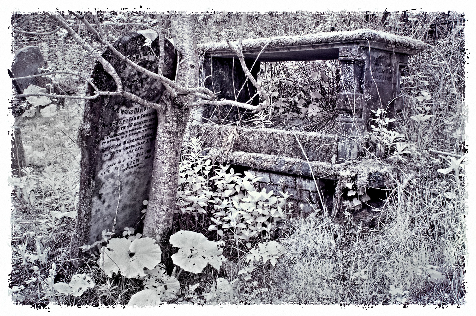 Clive Haynes - The Fortified Land (www.crhfoto.co.uk) - Grave ...