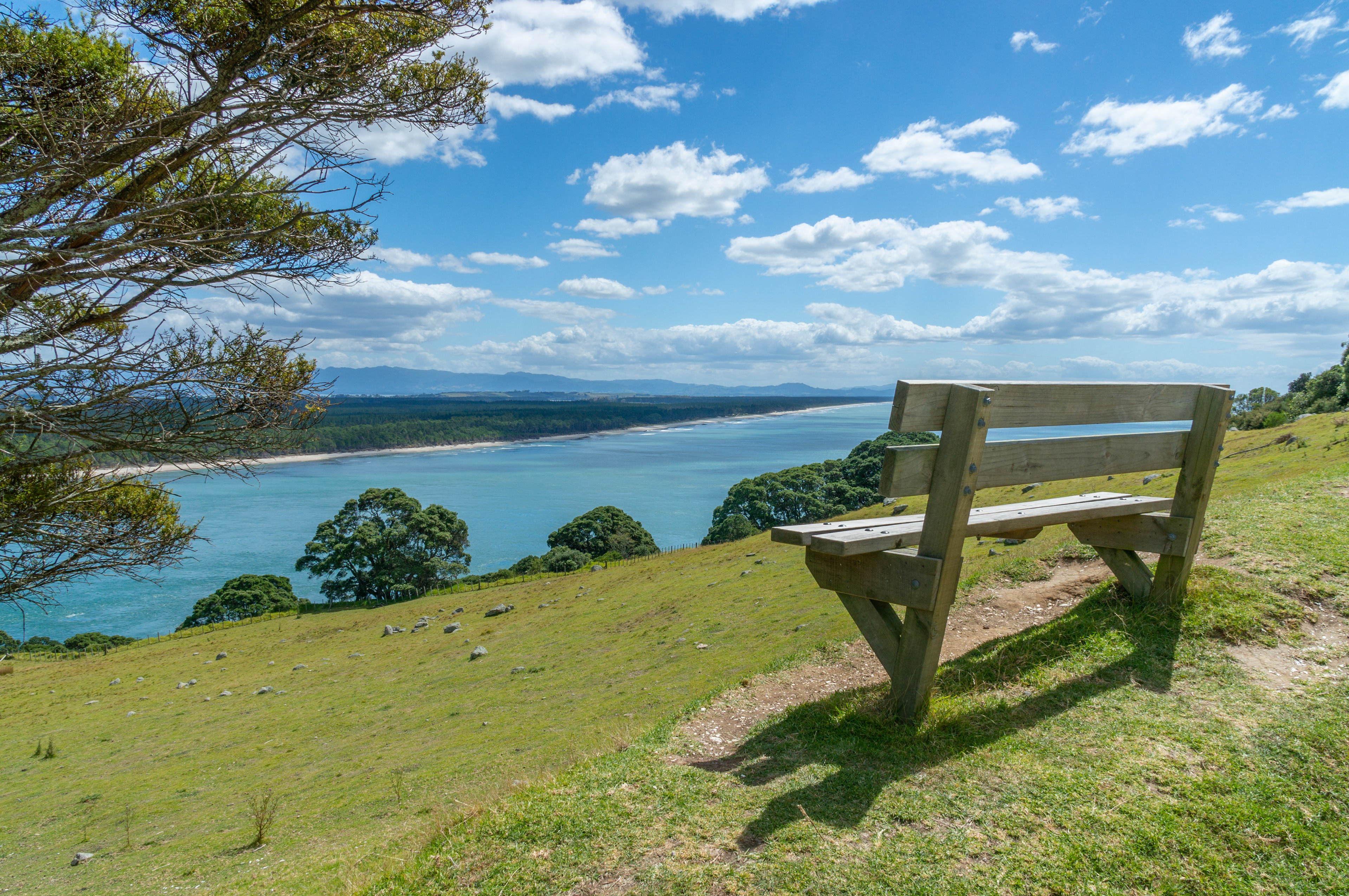 Greg Stephenson - New Zealand Beauty