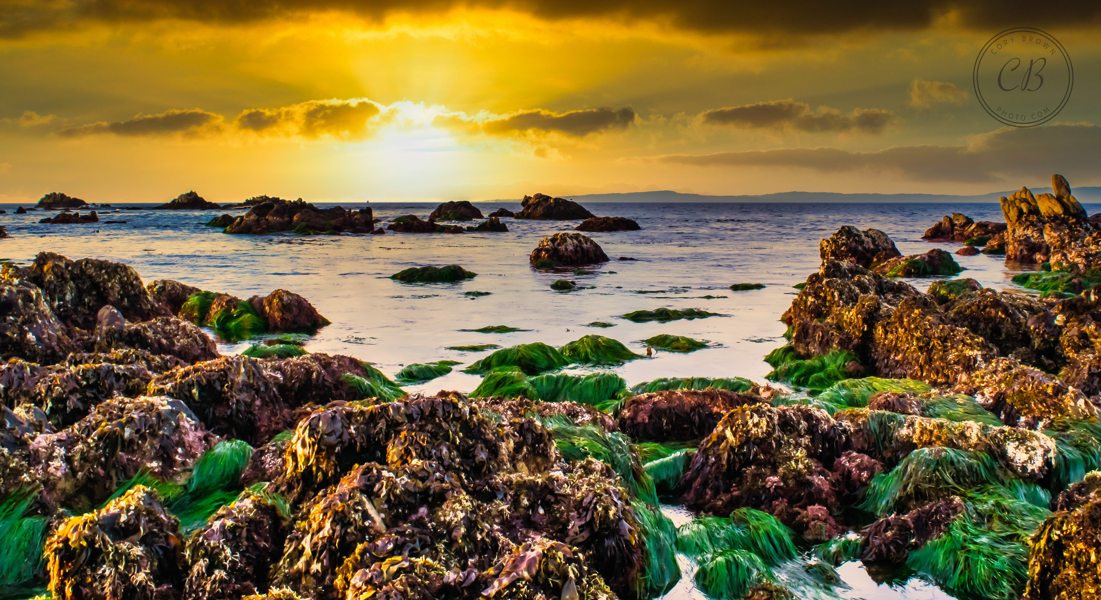 Cory Brown Photography - Oceanscapes