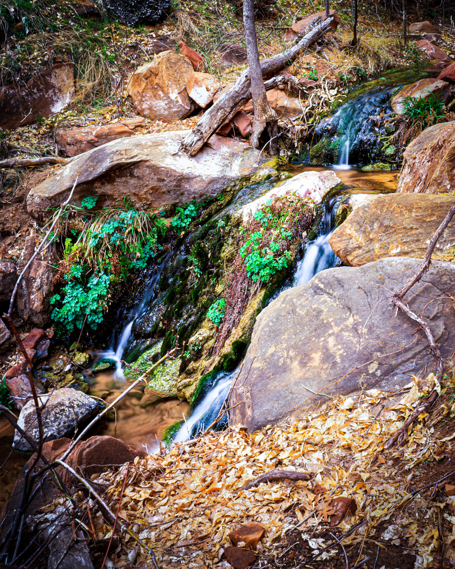 Ken Moore - National Parks