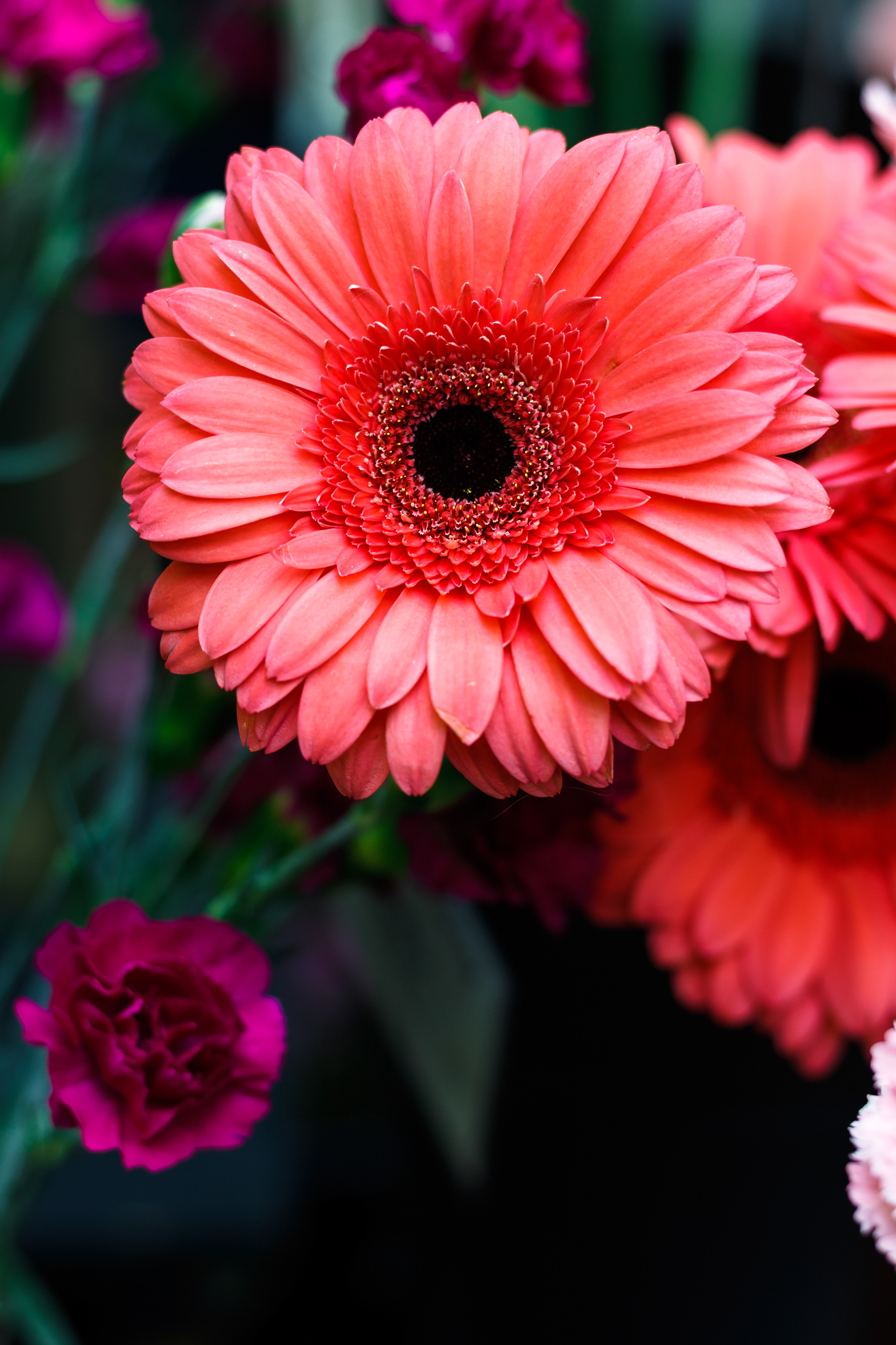 Michael Marquardt - Lafayette Florist