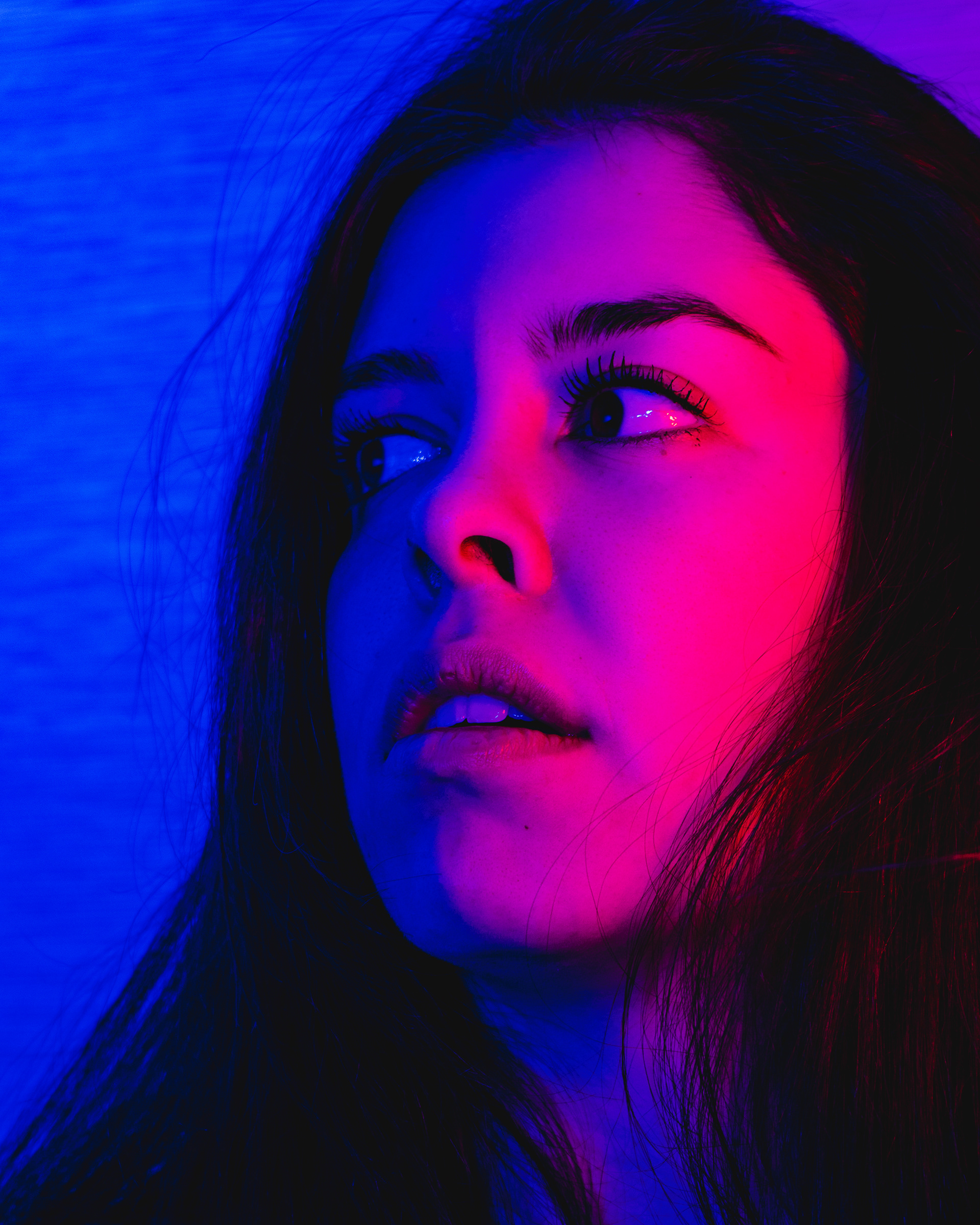 Arnau González - laura II.