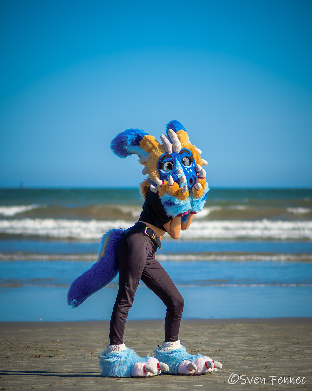 Sven Fennec Photography - Fursuit Portraits