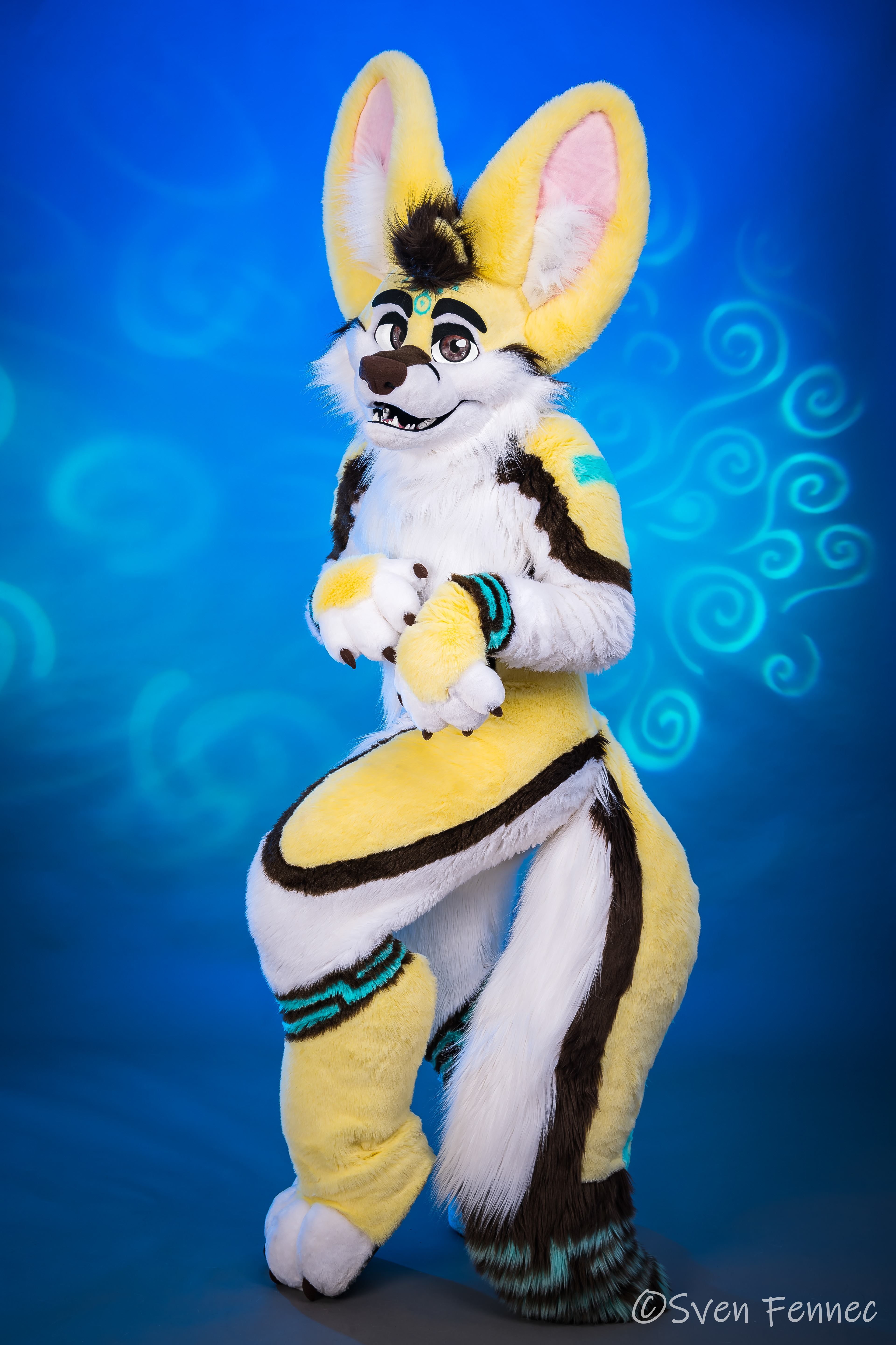 Sven Fennec Photography - 2018-2020 Studio Fursuit Portraits