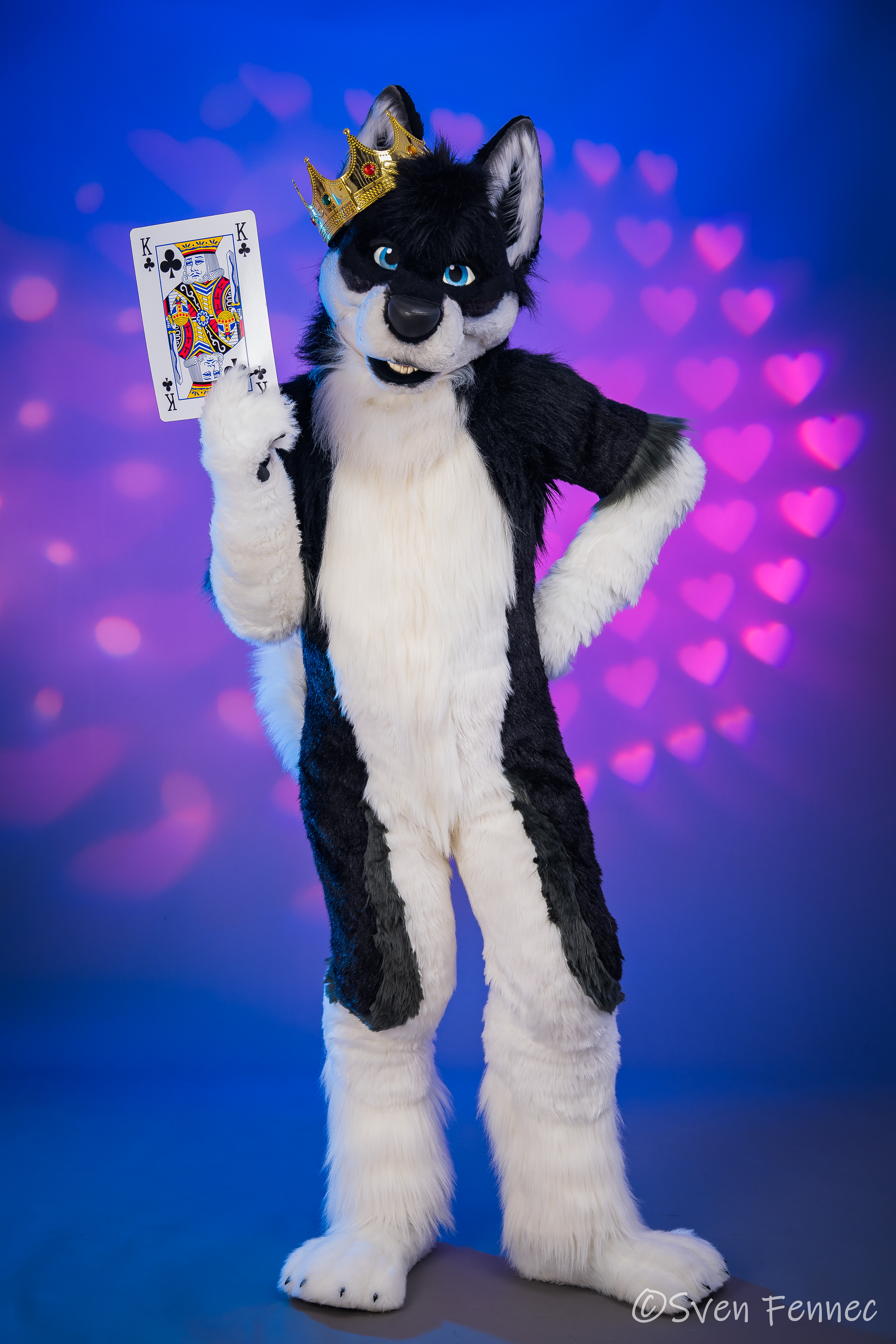 Sven Fennec Photography - 2018-2020 Studio Fursuit Portraits