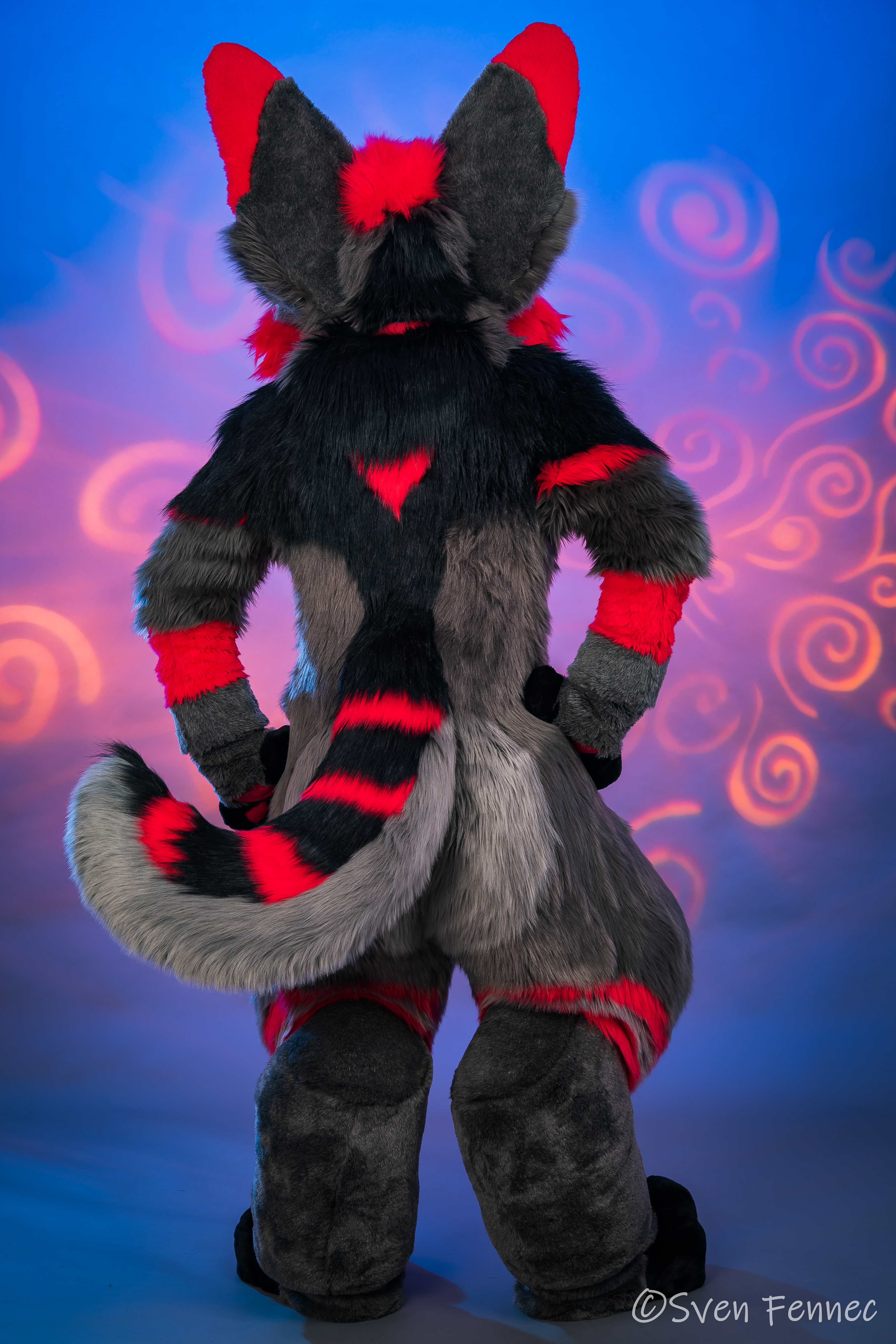 Sven Fennec Photography - Studio Fursuit Portraits