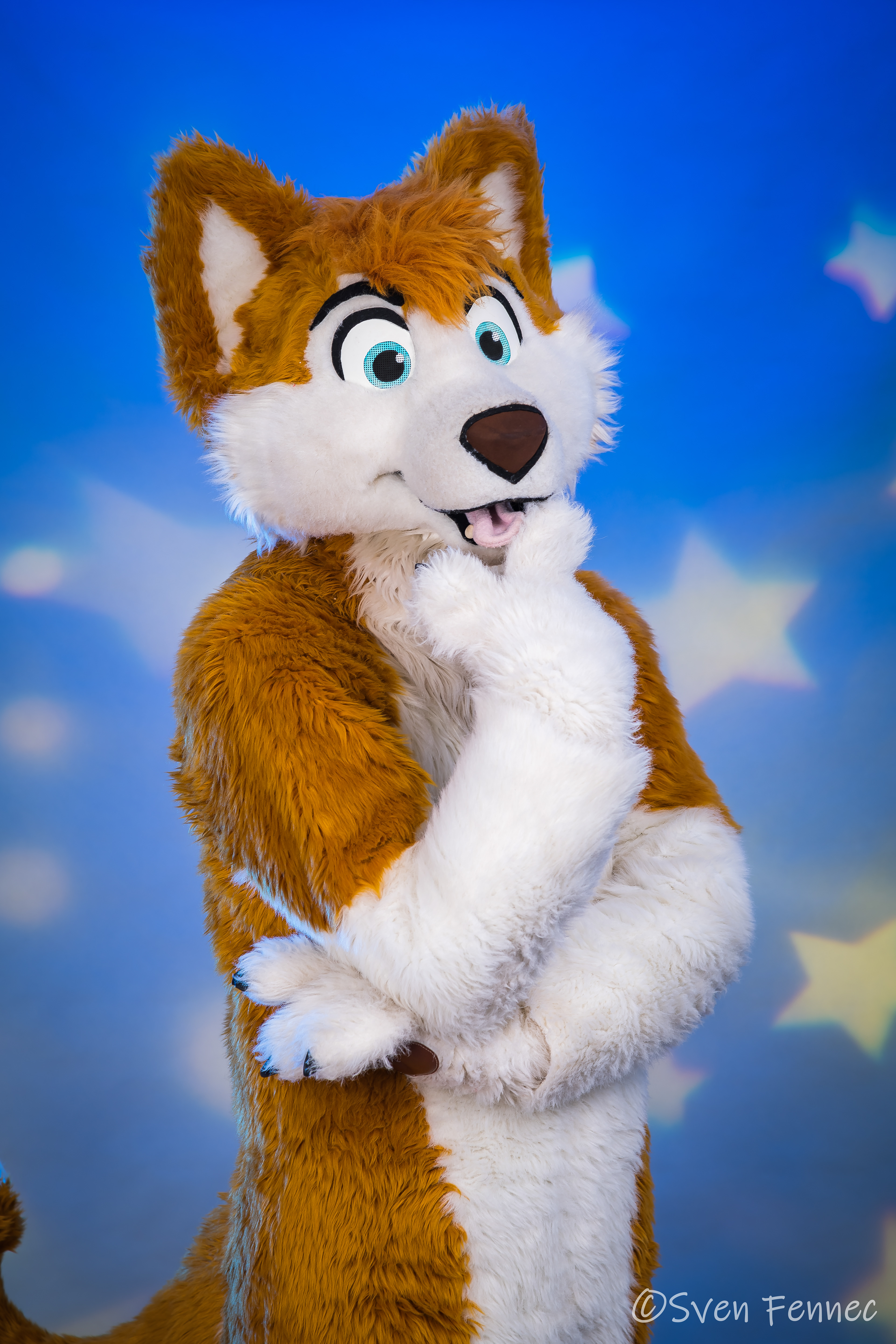 Sven Fennec Photography - 2018-2020 Studio Fursuit Portraits