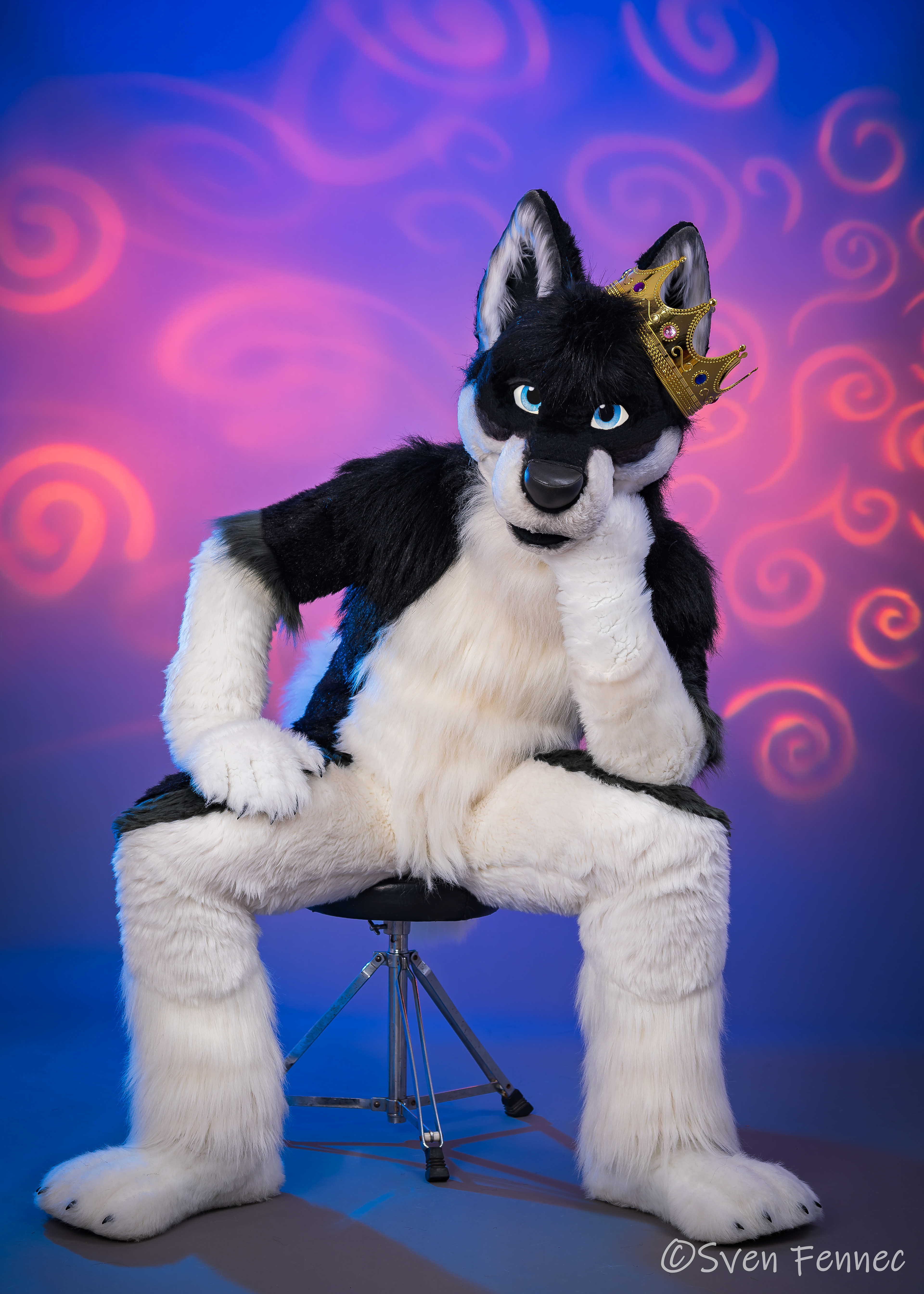 Sven Fennec Photography - 2018-2020 Studio Fursuit Portraits