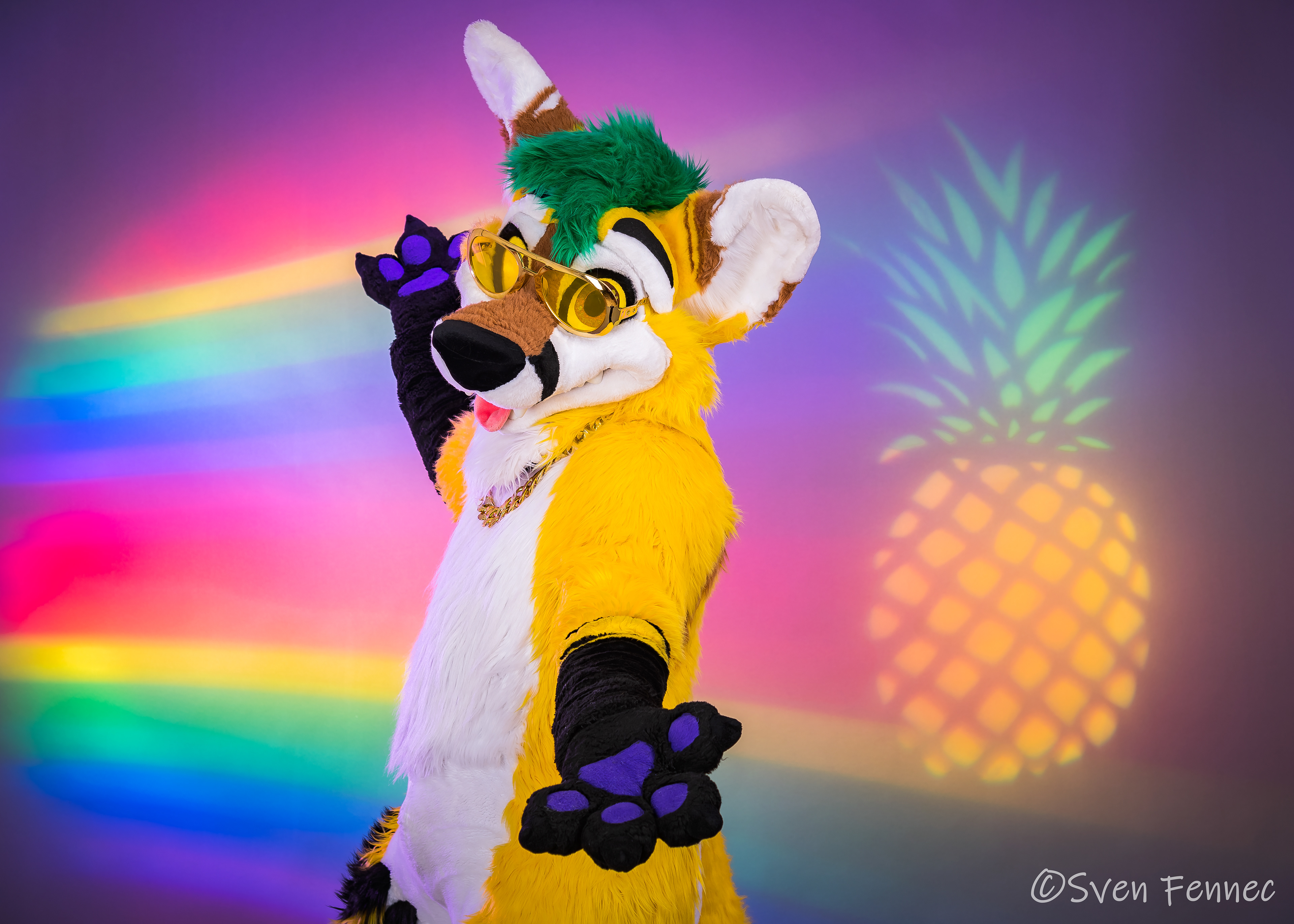 Sven Fennec Photography - 2018-2020 Studio Fursuit Portraits