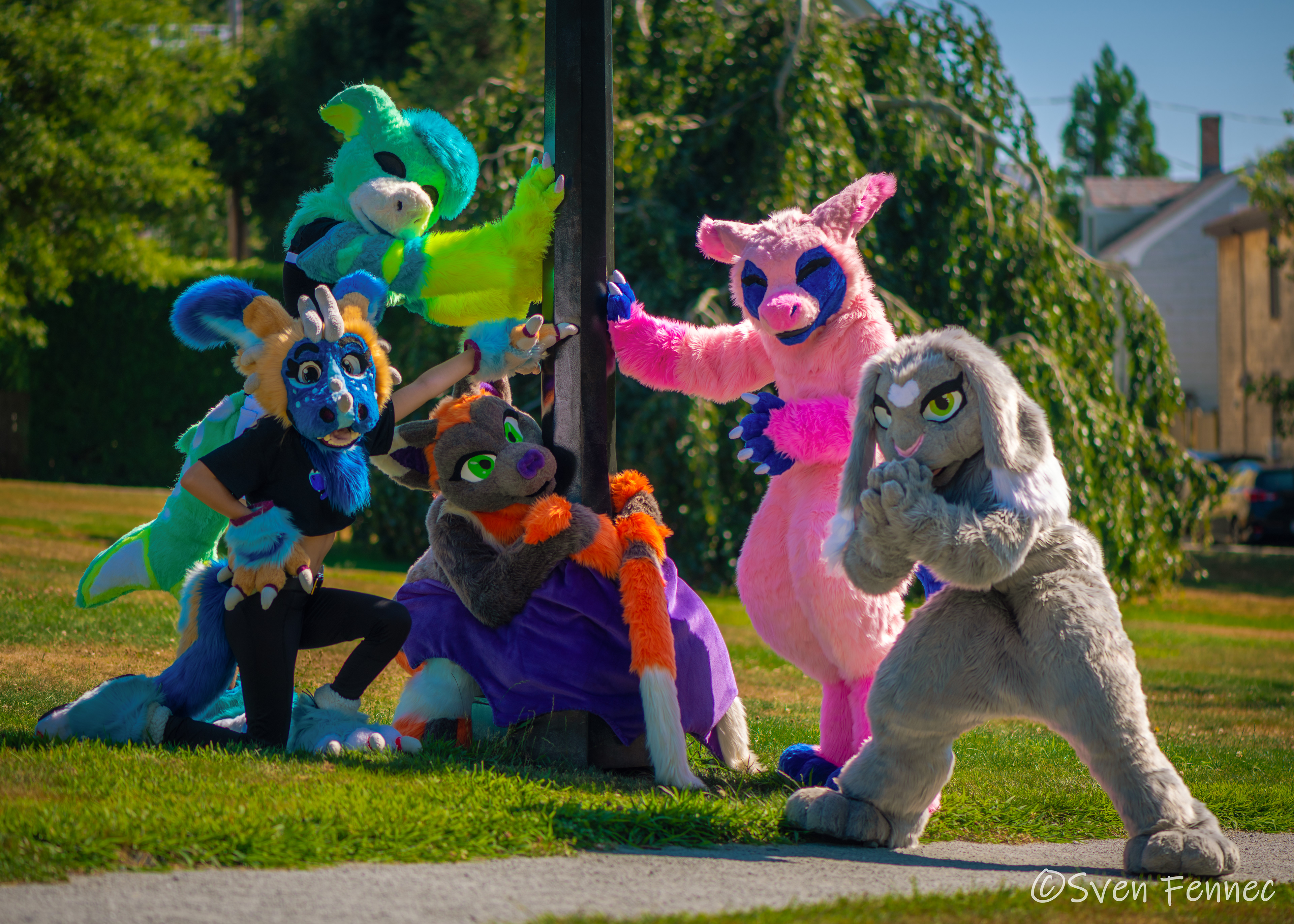 Sven Fennec Photography - Fursuit Portraits
