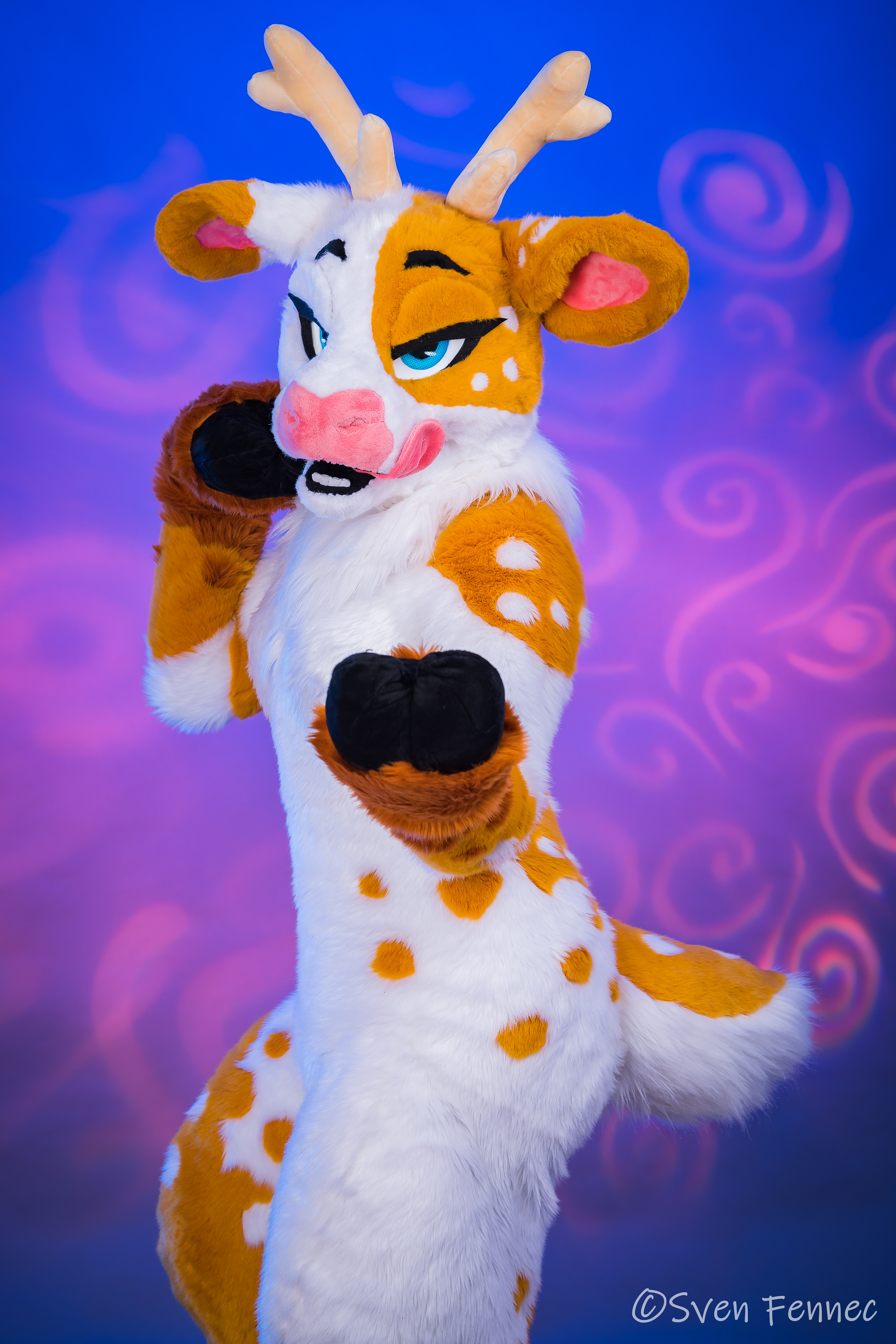 Sven Fennec Photography - 2018-2020 Studio Fursuit Portraits