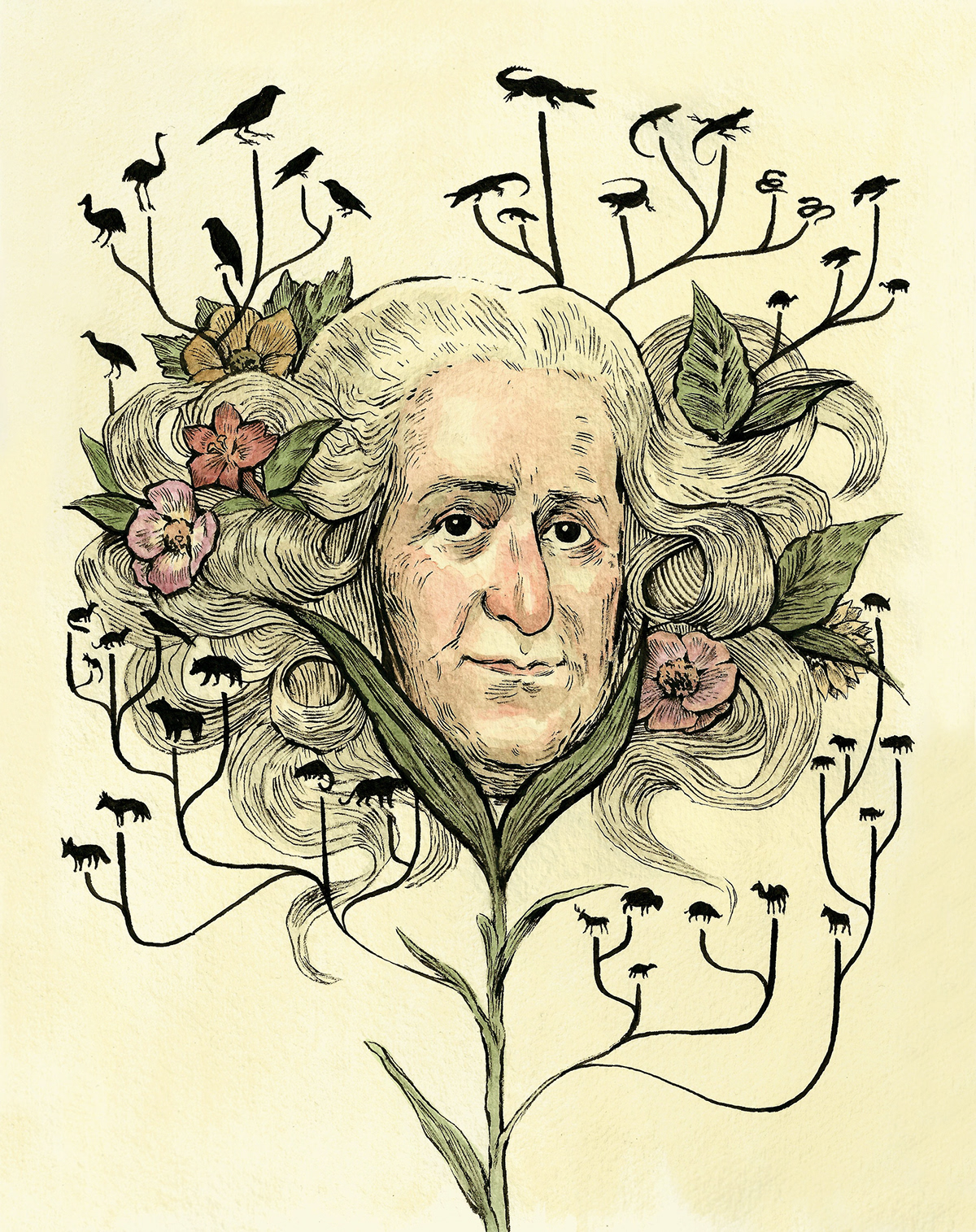 Emily Schnall - Carl Linnaeus