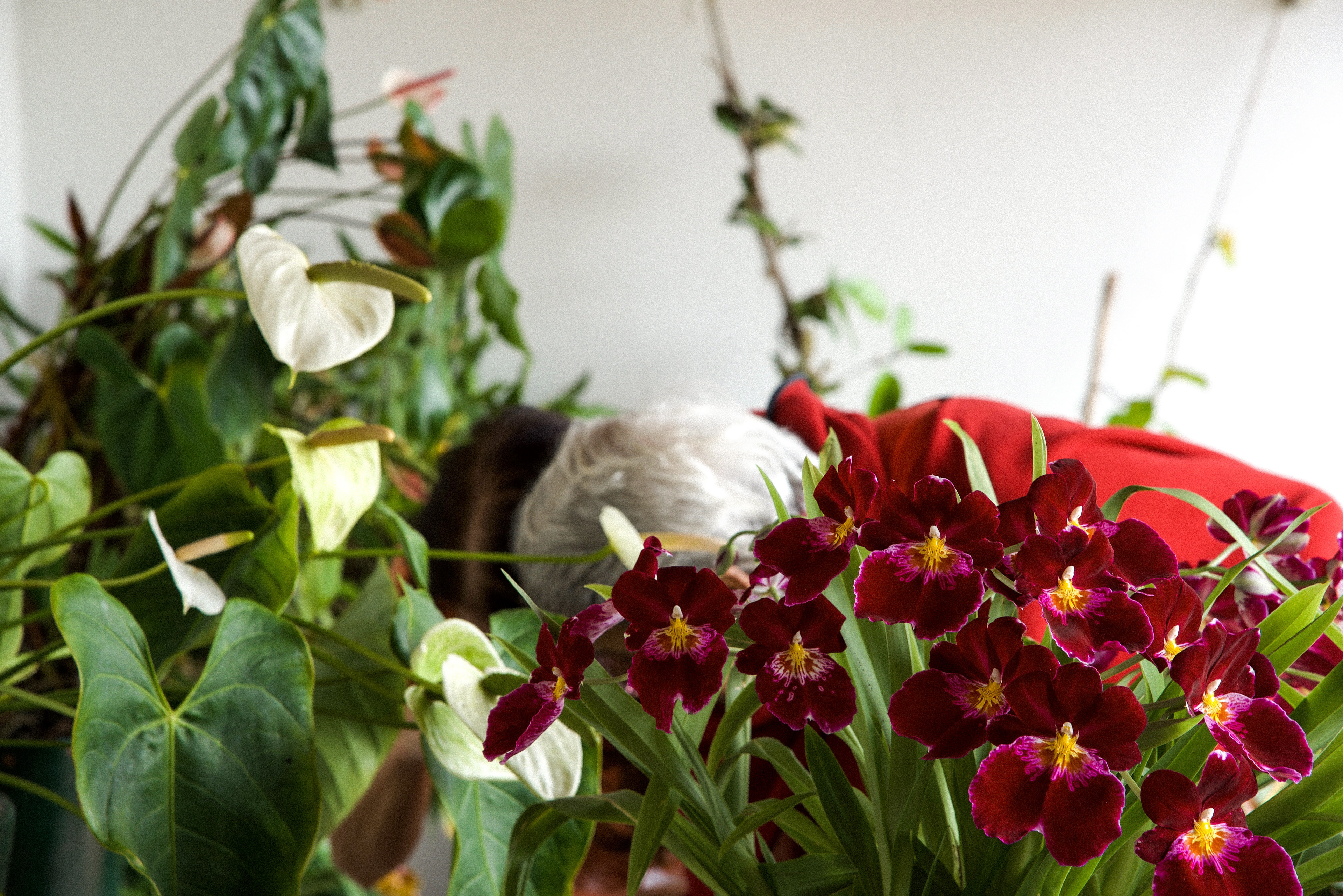 Katherine Roldan - People