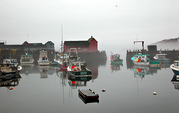Laura Savidge - New England – Cape Ann and Cape Cod