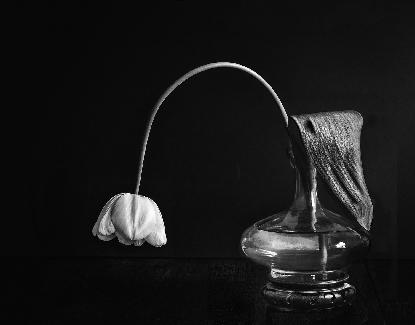 Joseph Sventek - still lifes black and white