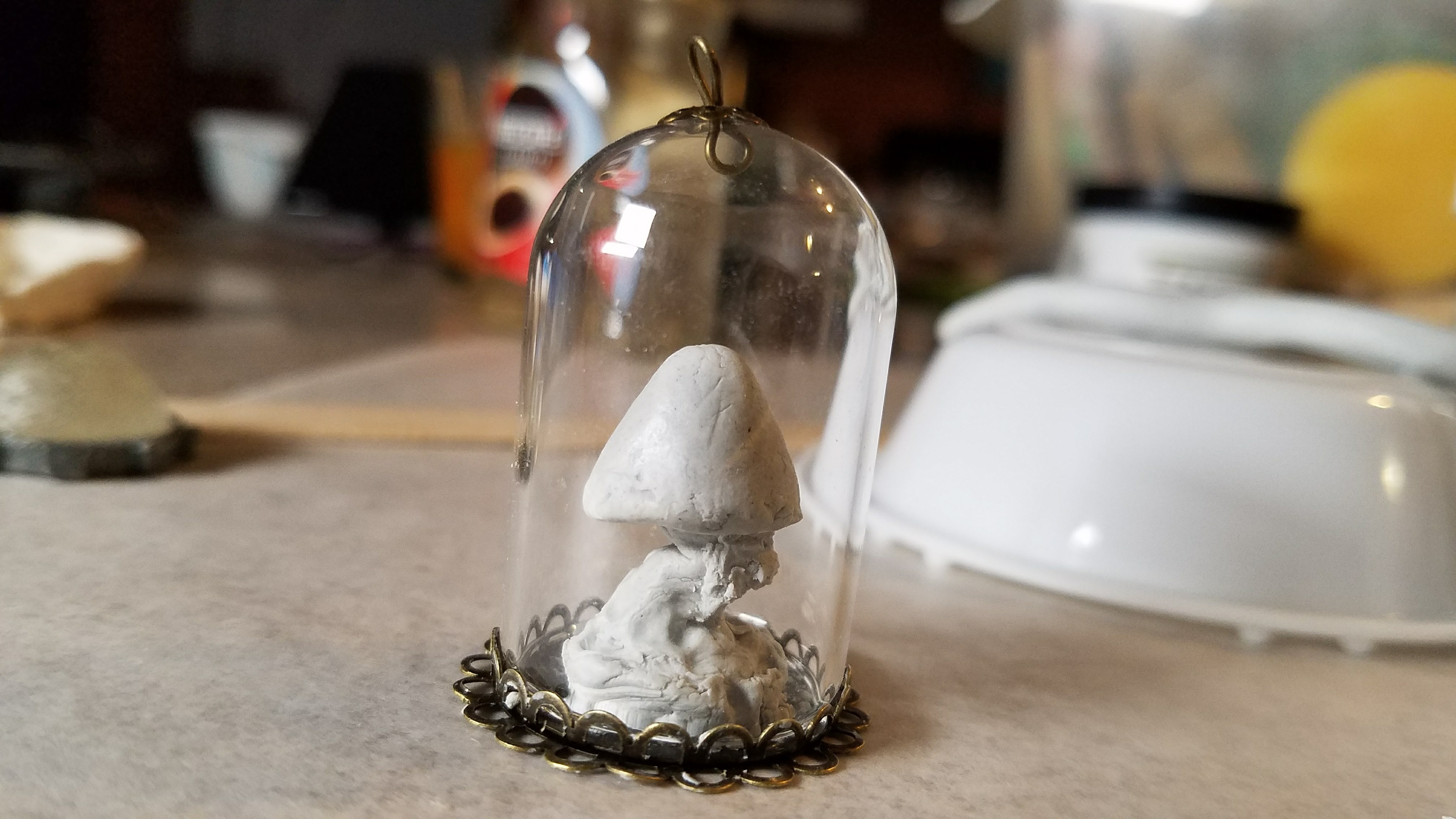 Chris Copple - mushroom display