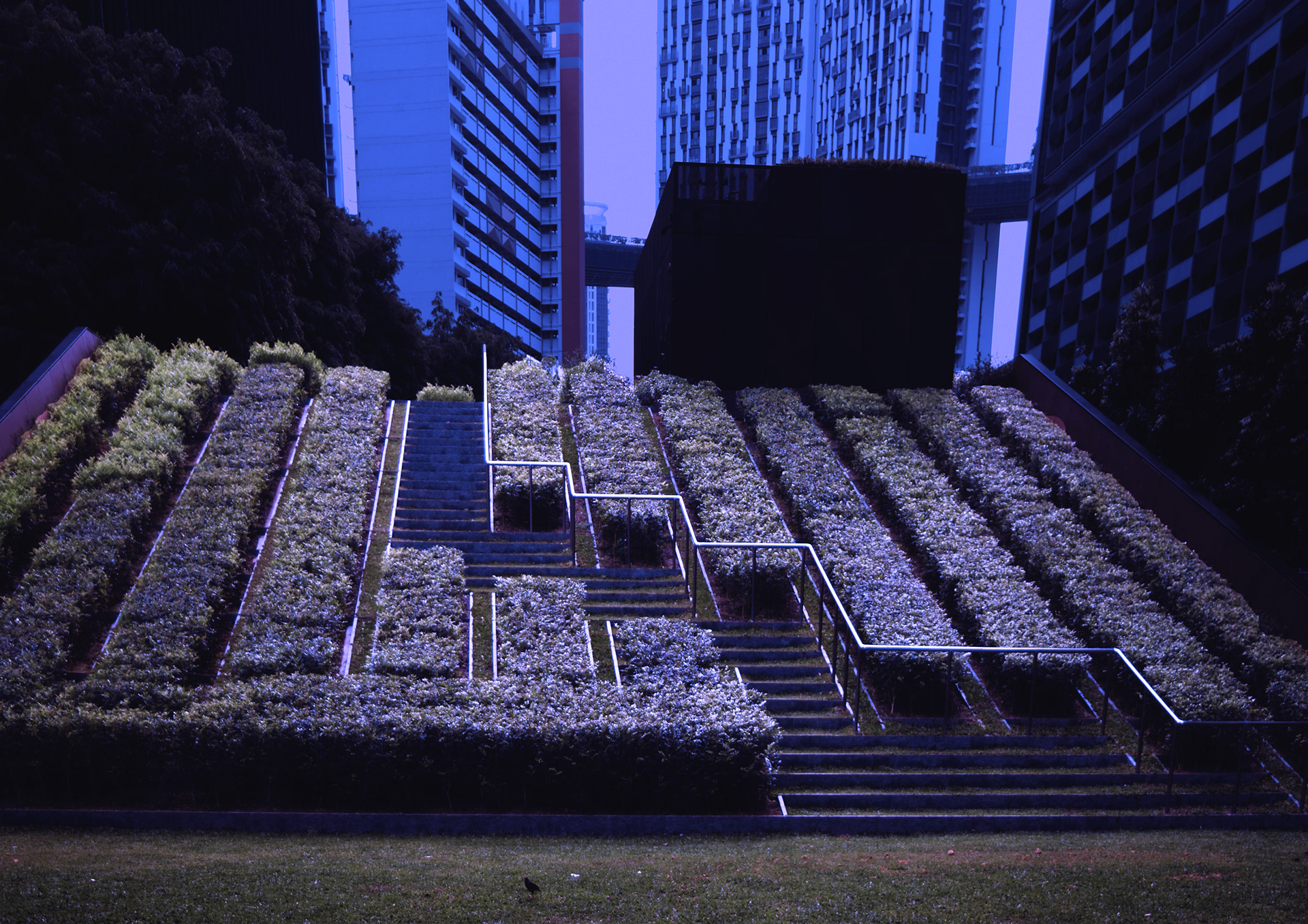 Syafiqah Rahim - Adulthood