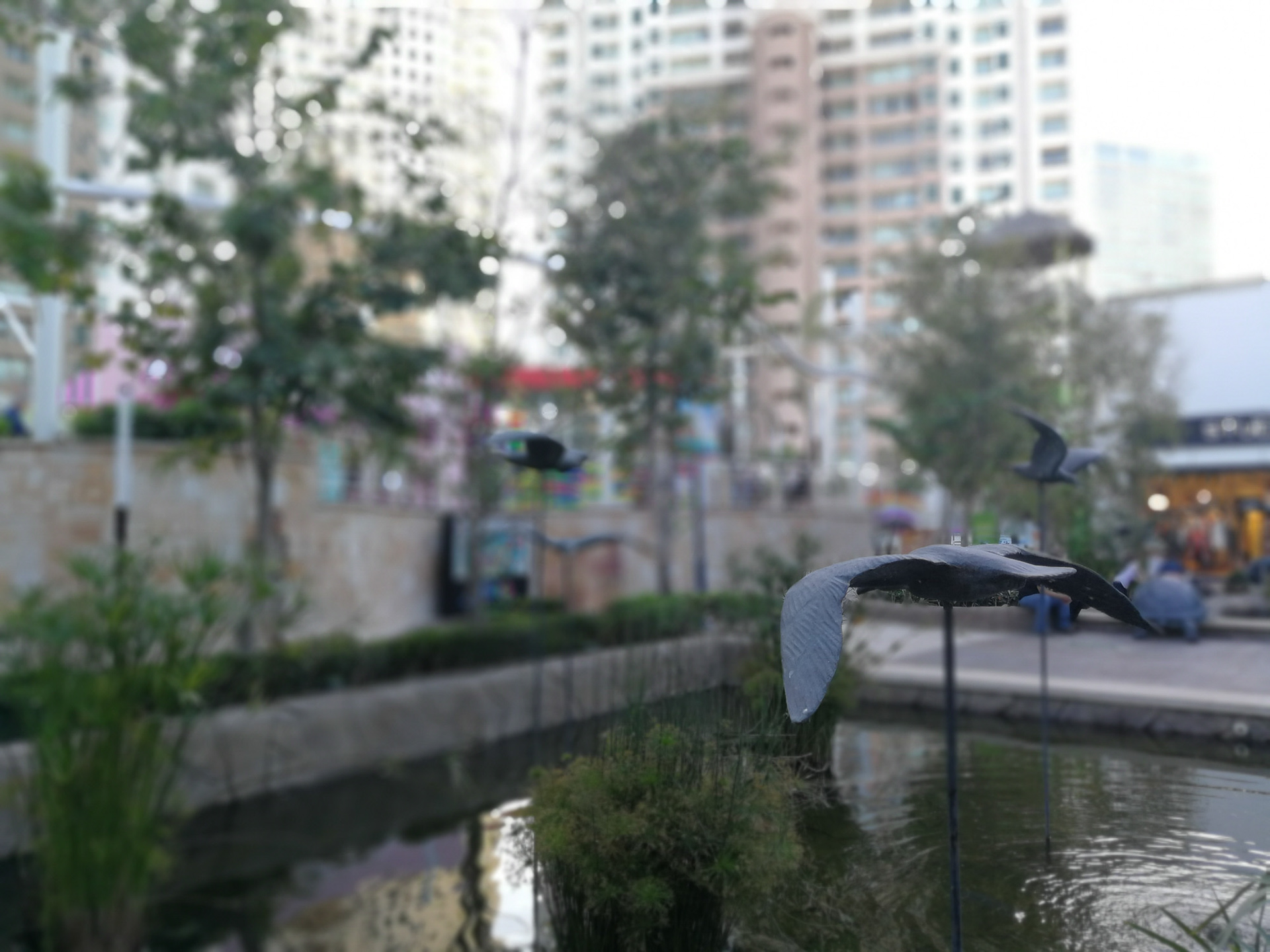 Paco Juarez - Arquitectura y Ciudad