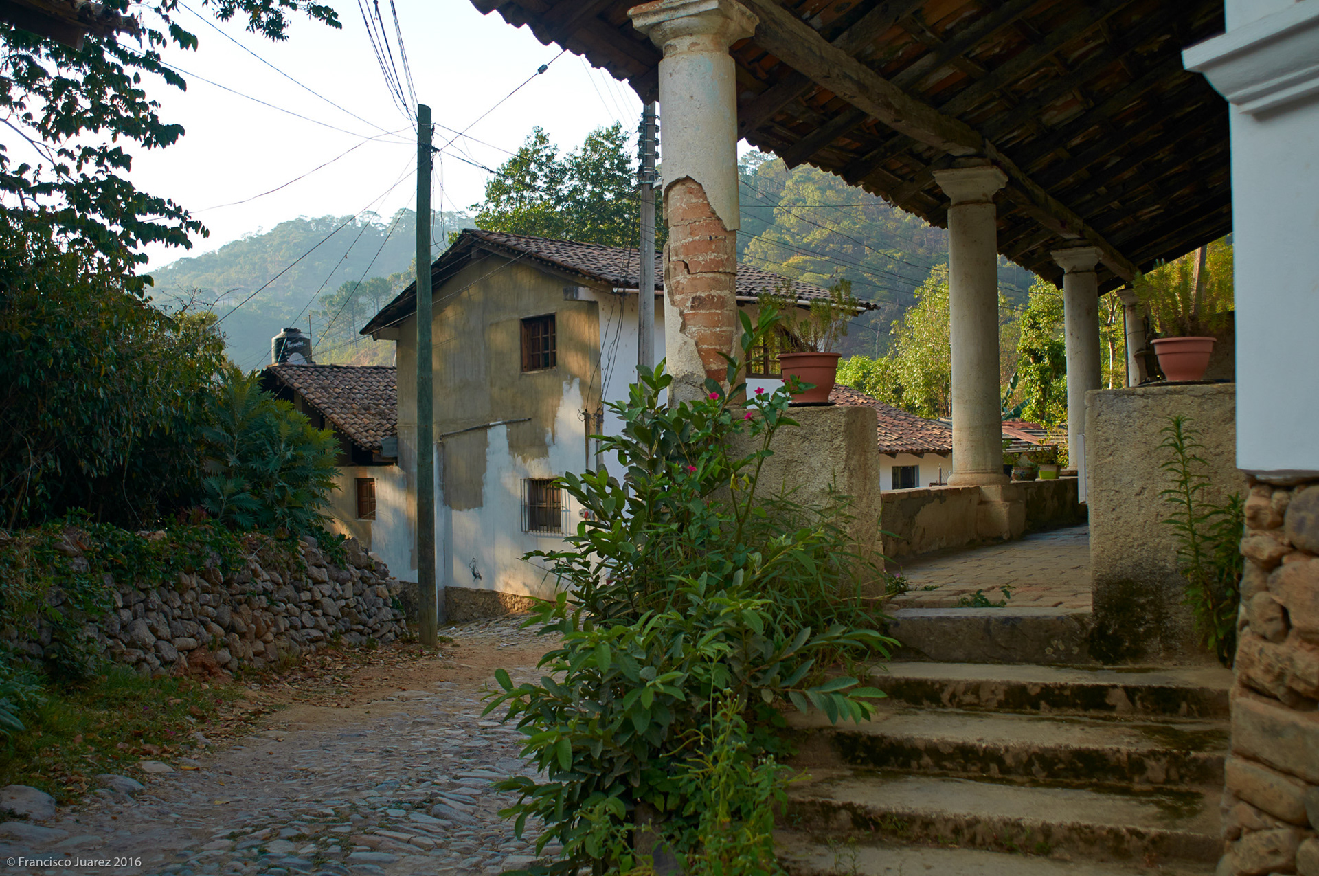 Paco Juarez - Arquitectura y Ciudad