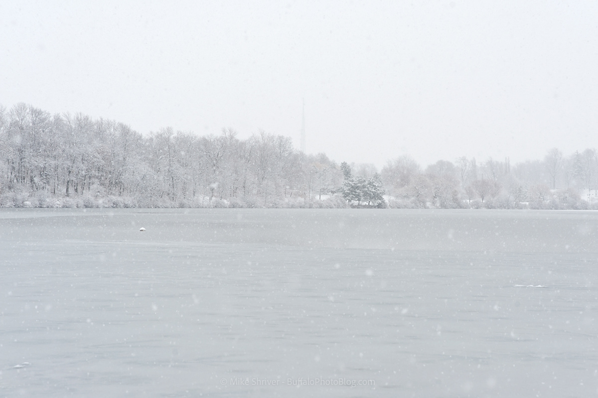 Photography of Buffalo, NY - buffalo winter