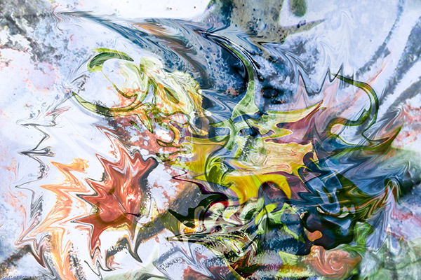 BBS Art - Photography Painting Fusion Art