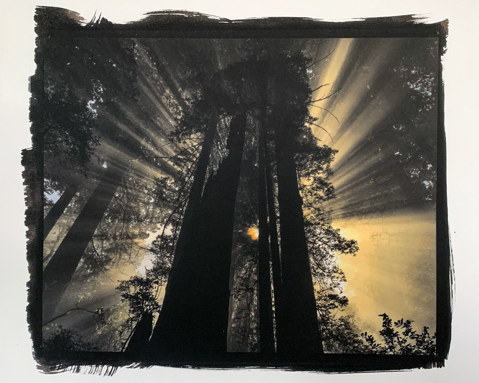 Doug Kaye Photography - Platinum/Palladium Prints for Other Photographers