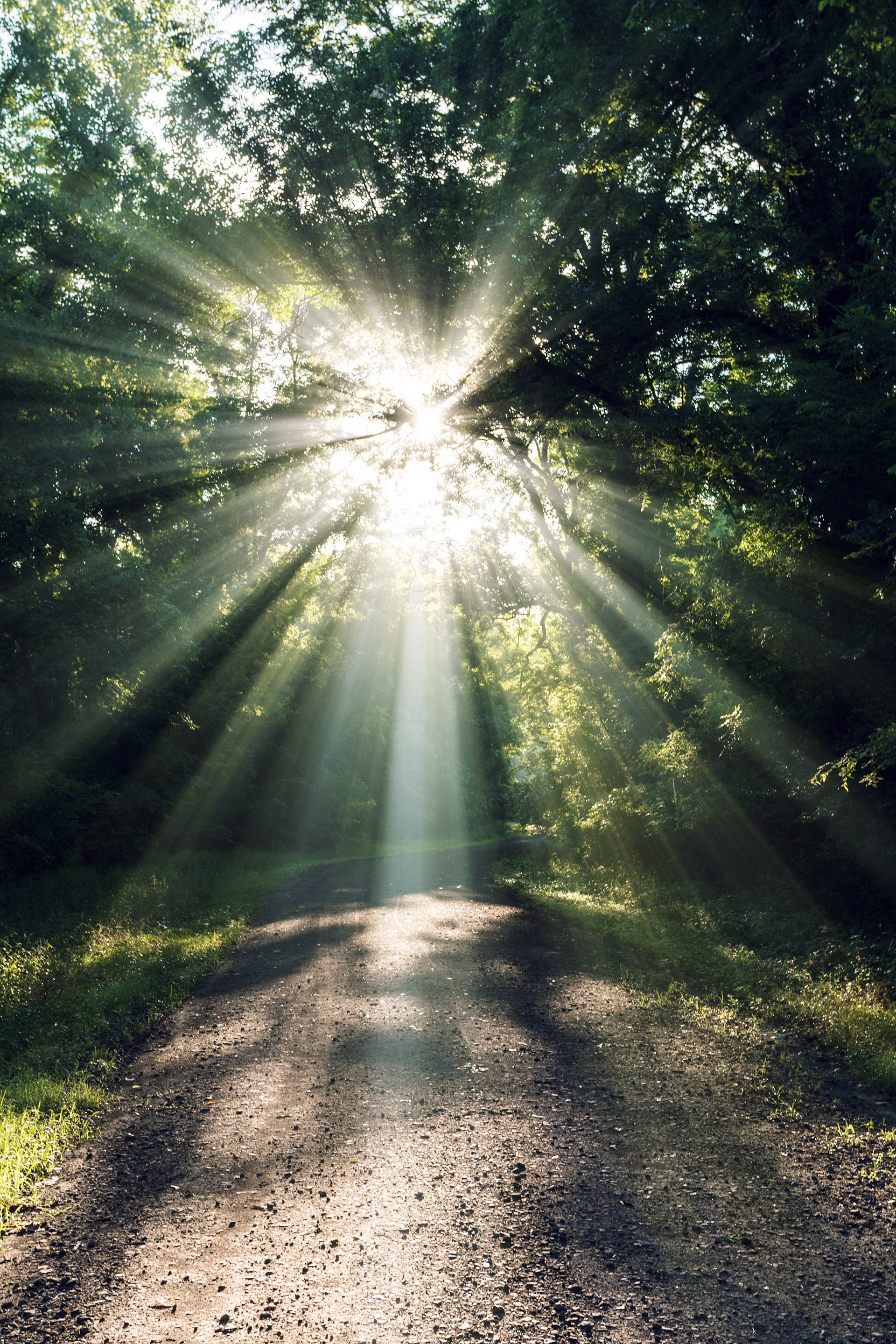 Meetjosue - Chasing Light