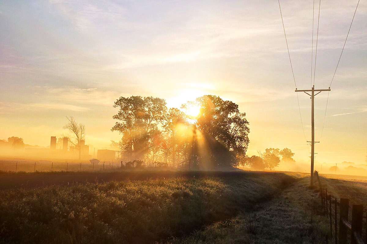 Meetjosue - Chasing Light