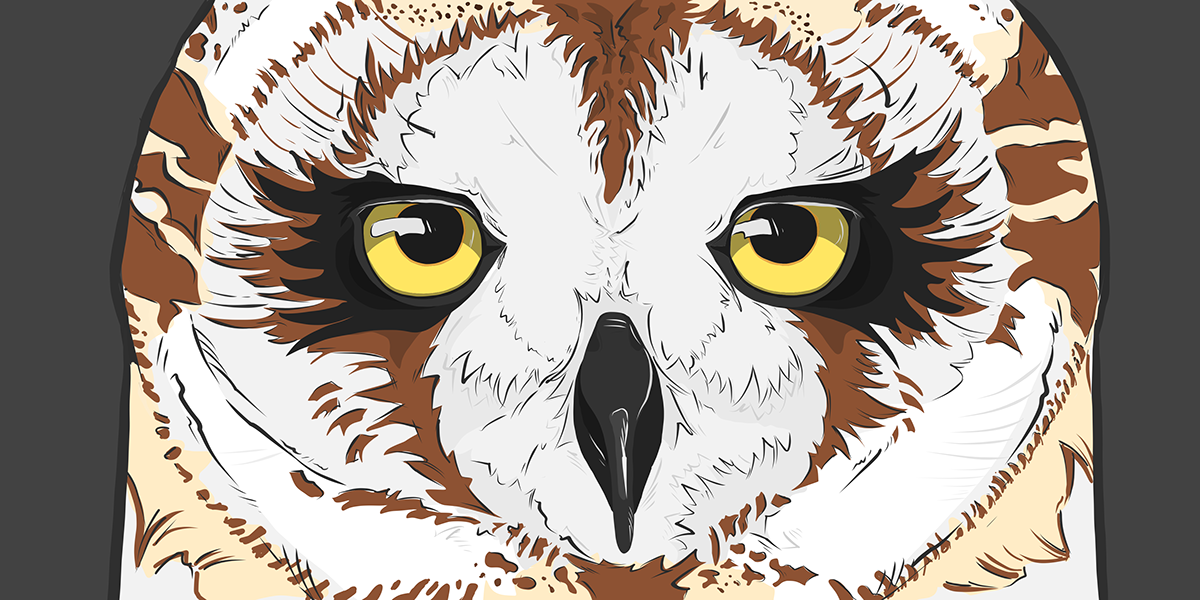 Rasay Photo and Design - Pueo