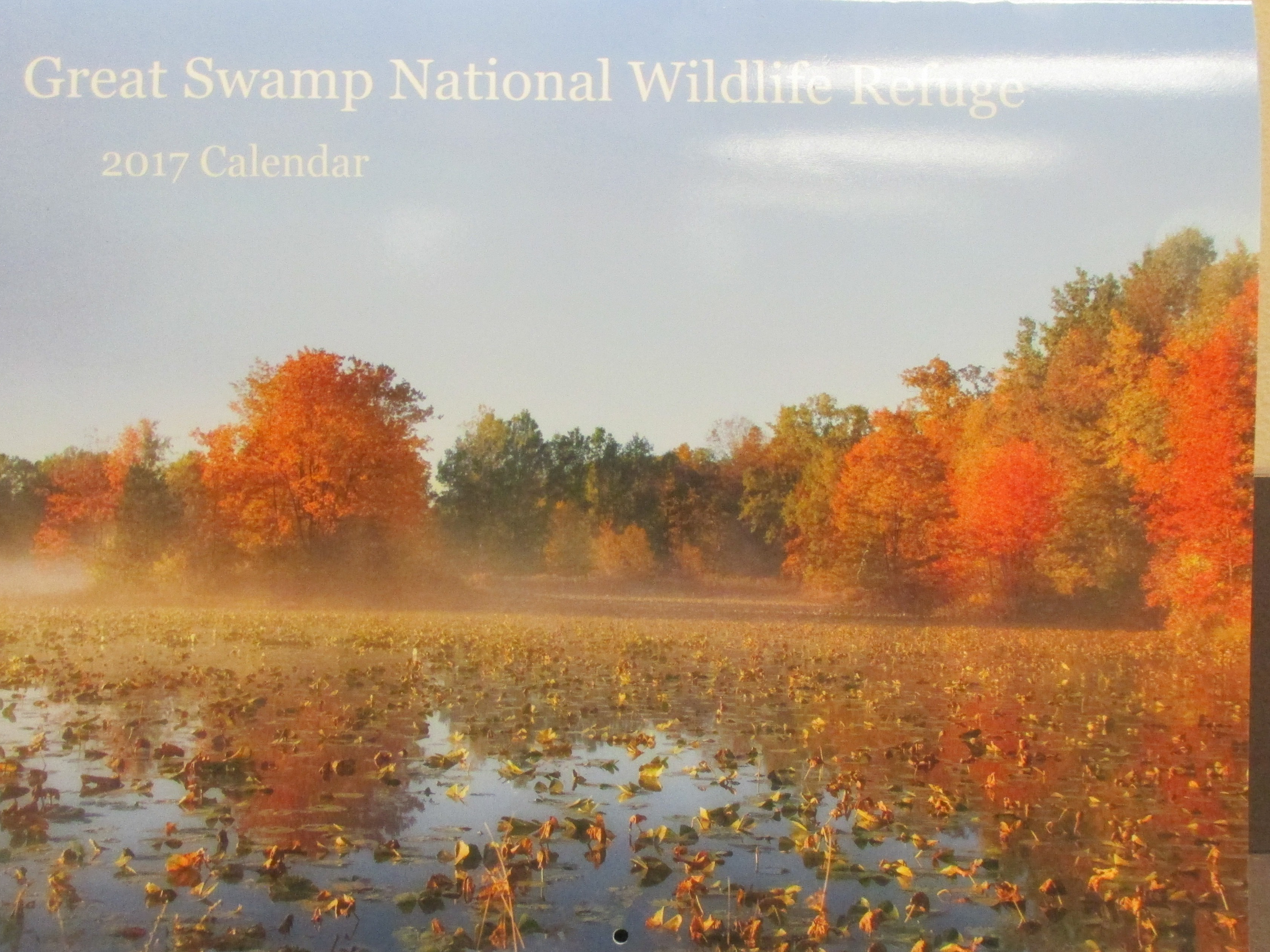 4D Nature Photography