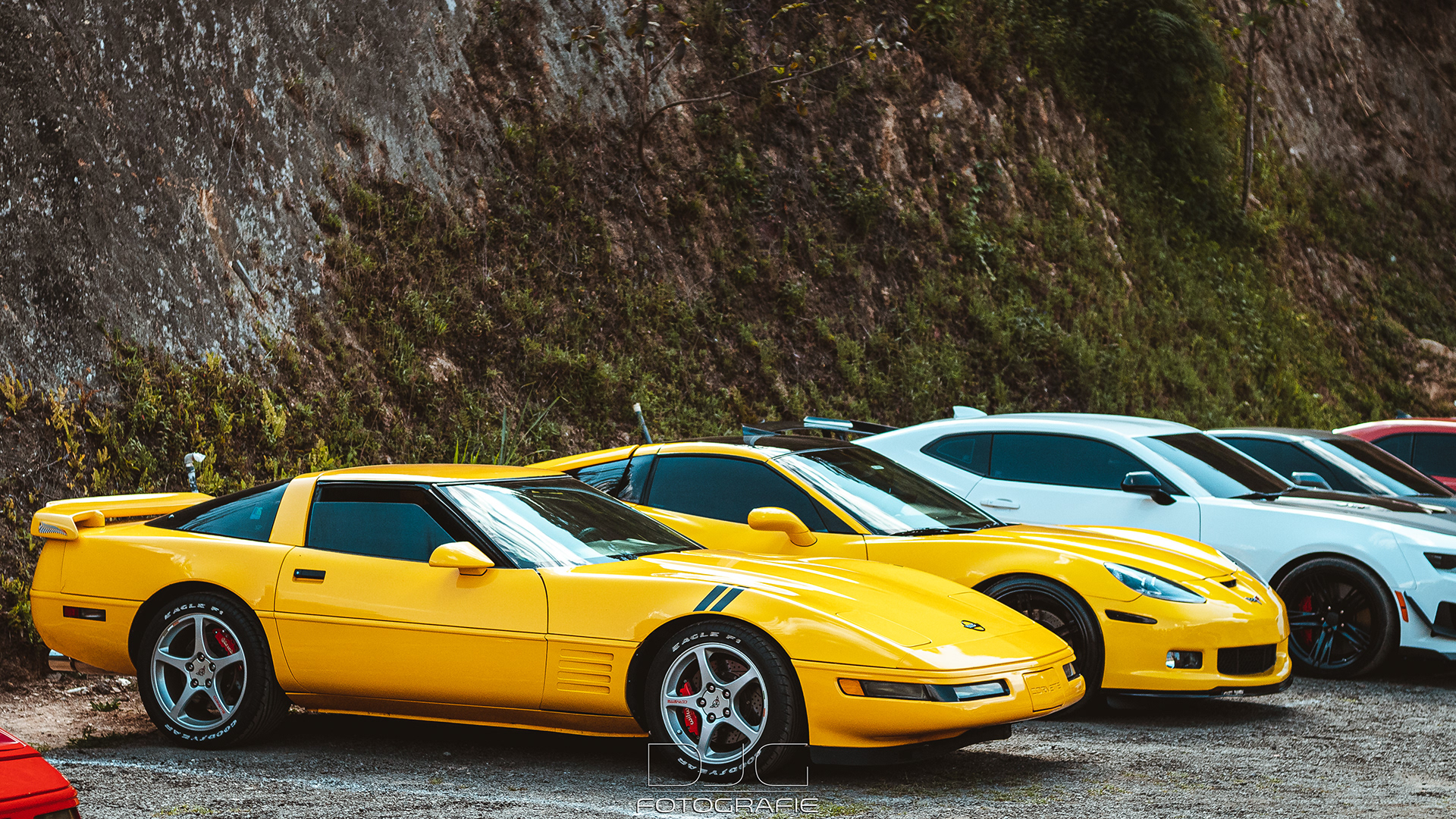 DJG Fotografie - Corvettes & Camaros