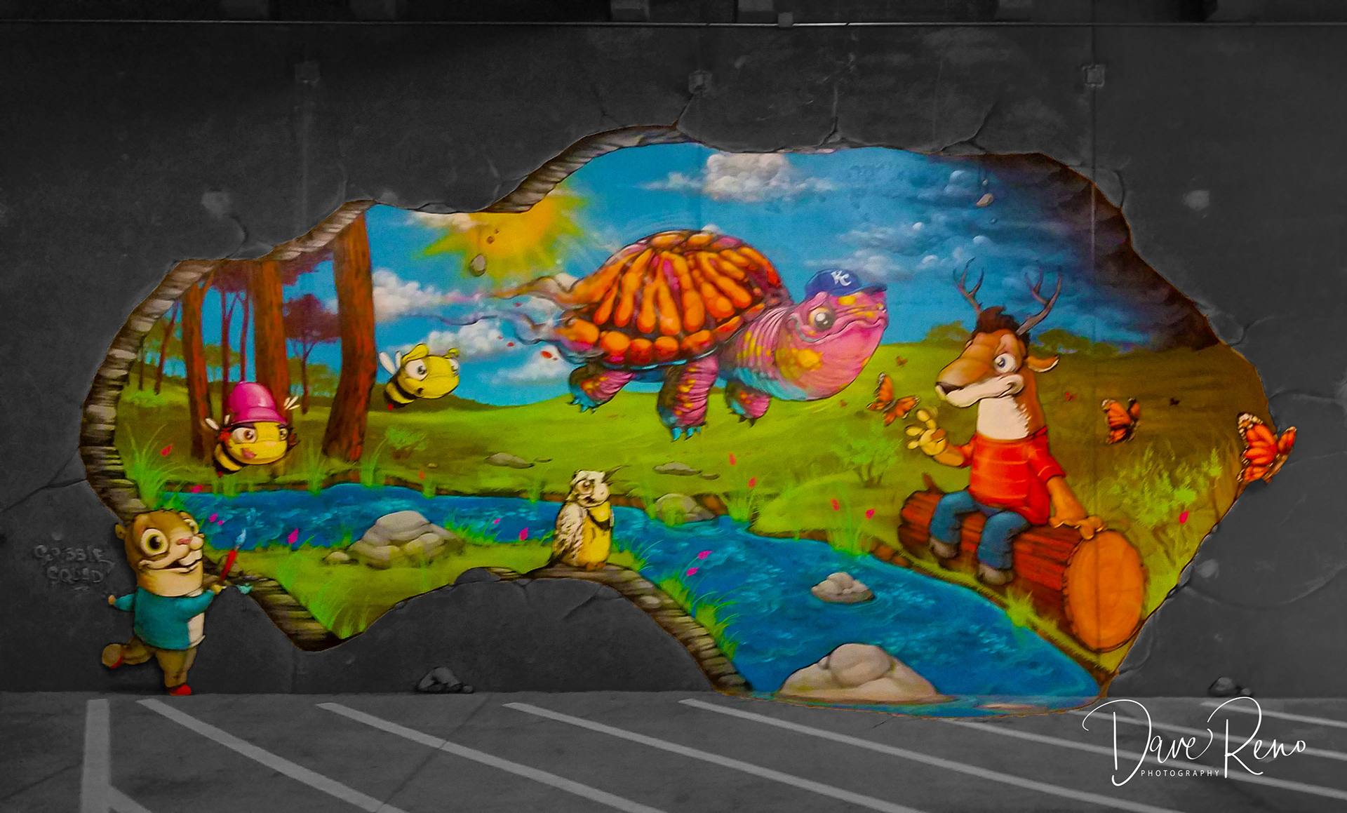 Dave Reno - color splash