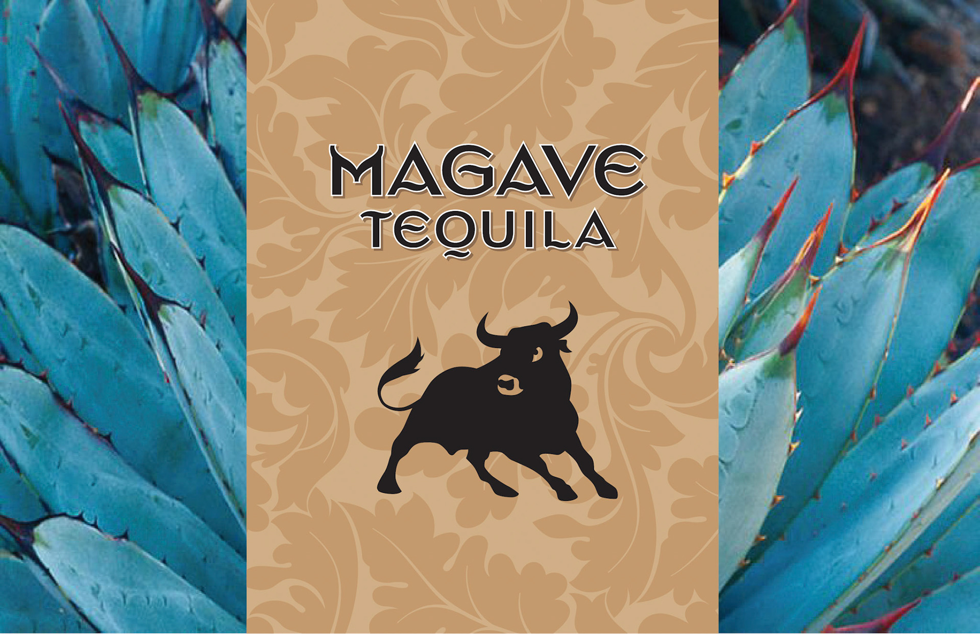 tom kane - MAGAVE TEQUILA
