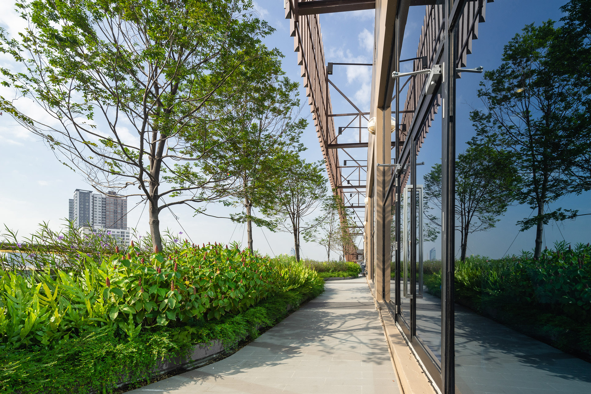 PanoramicStudio - CENTRAL RAMA III