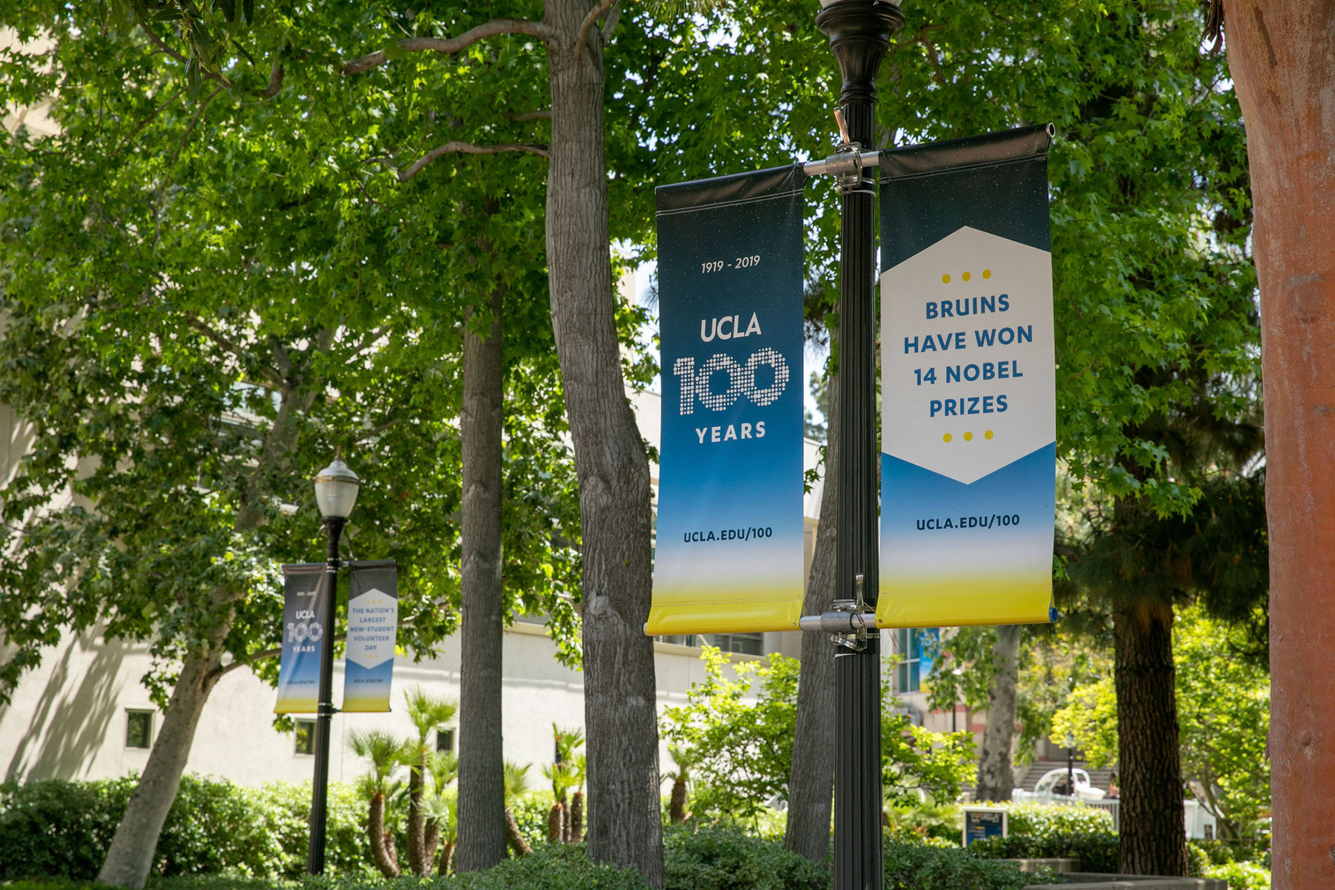 Jim Poore - UCLA – 100