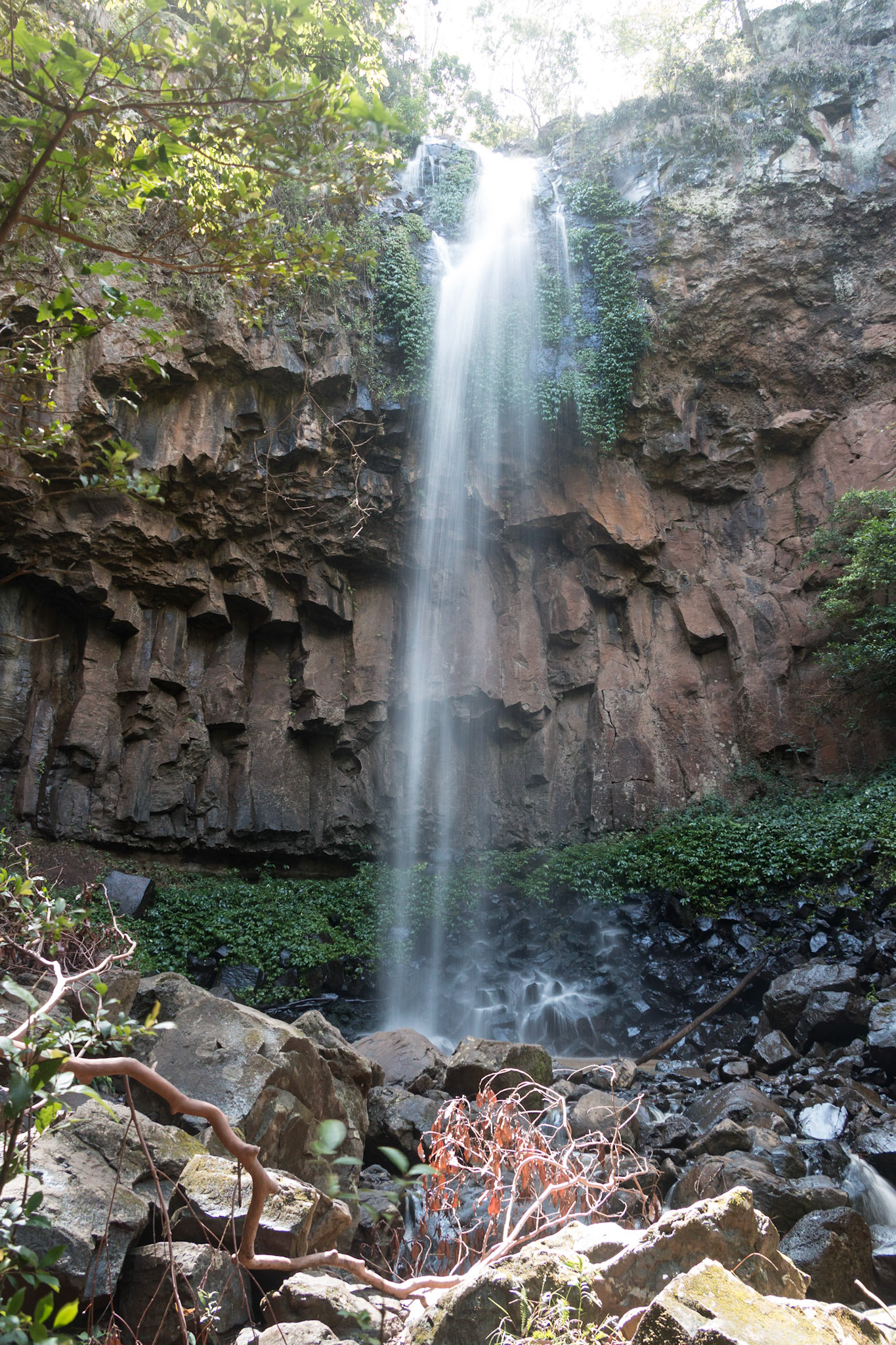 Trevor Martin - Waterfalls