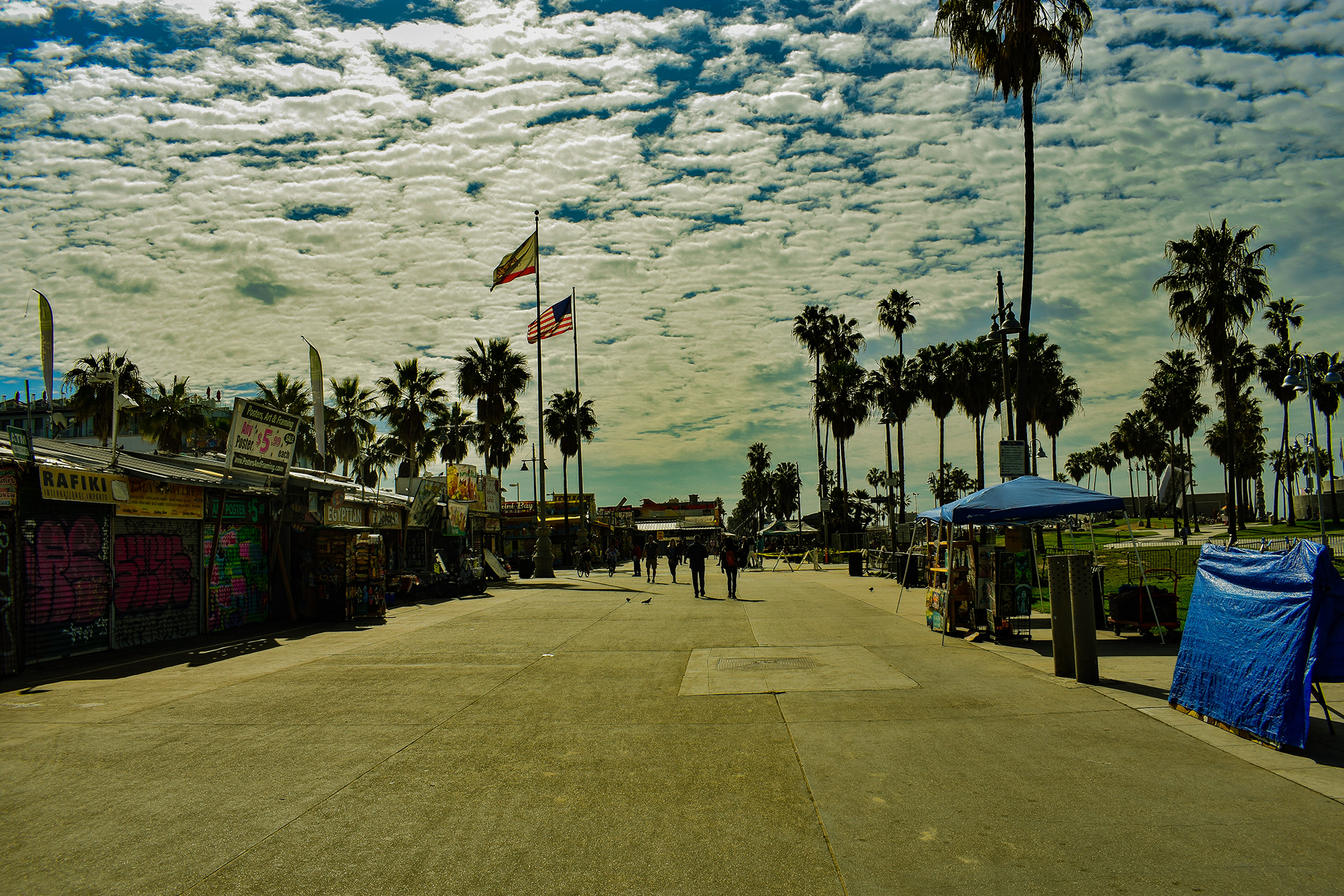 Avery Cook - Environment