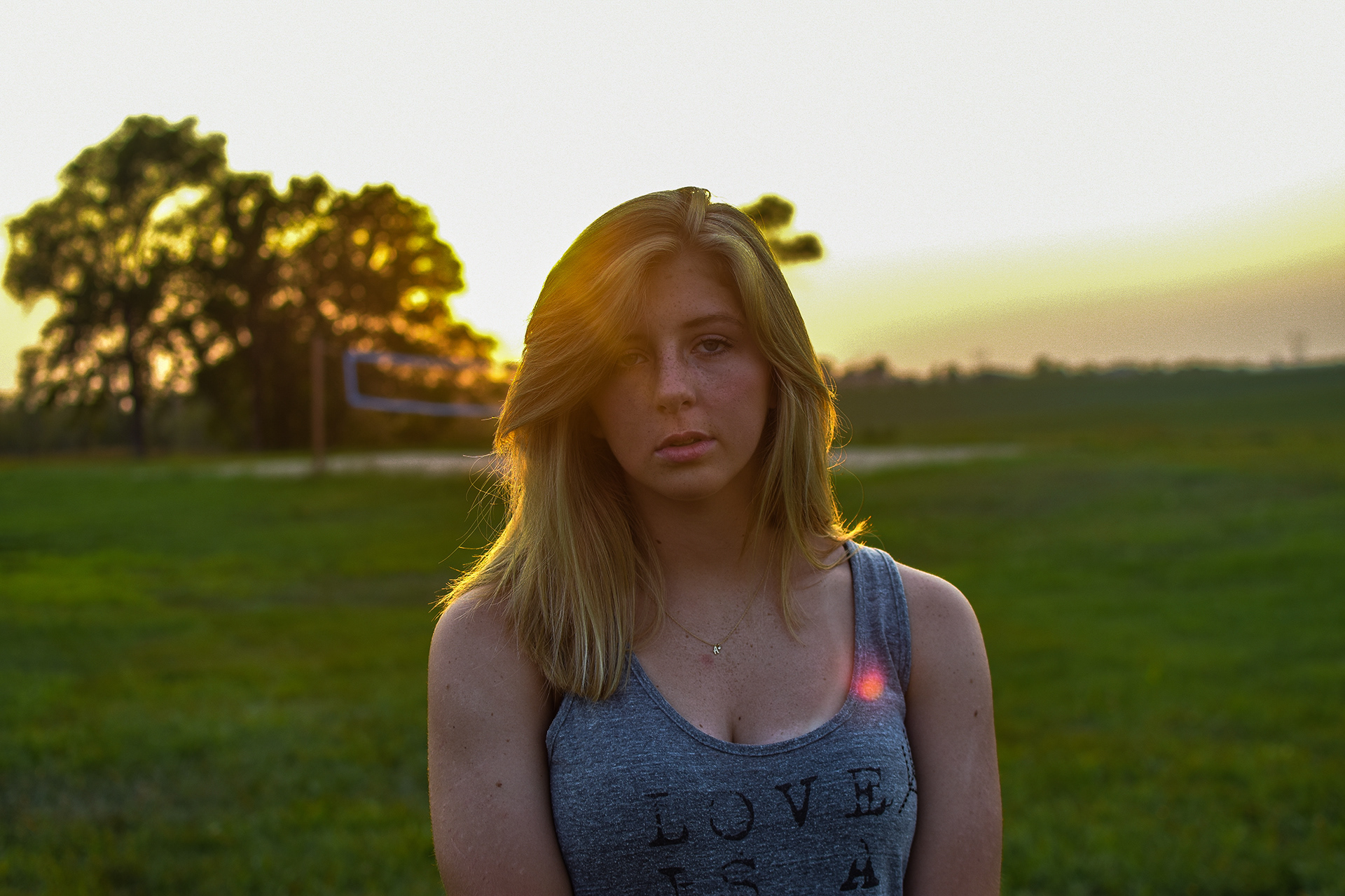 Avery Cook - Cornfield