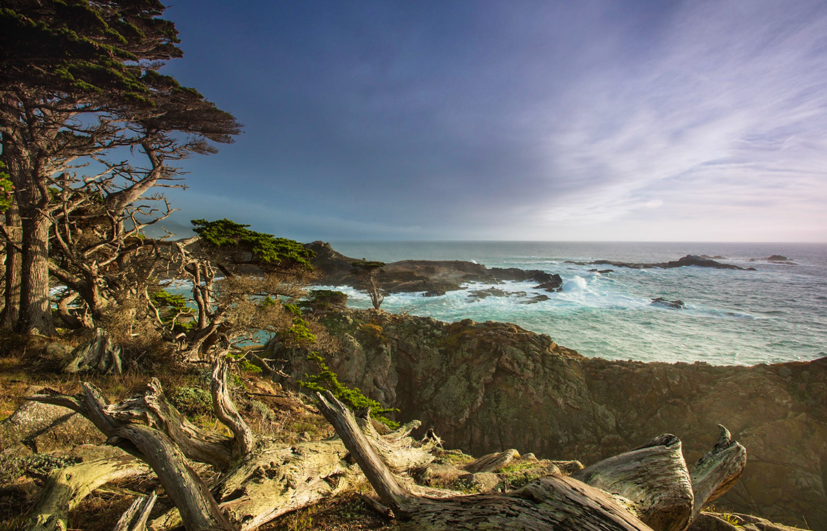 Mike Cleron - Point Lobos
