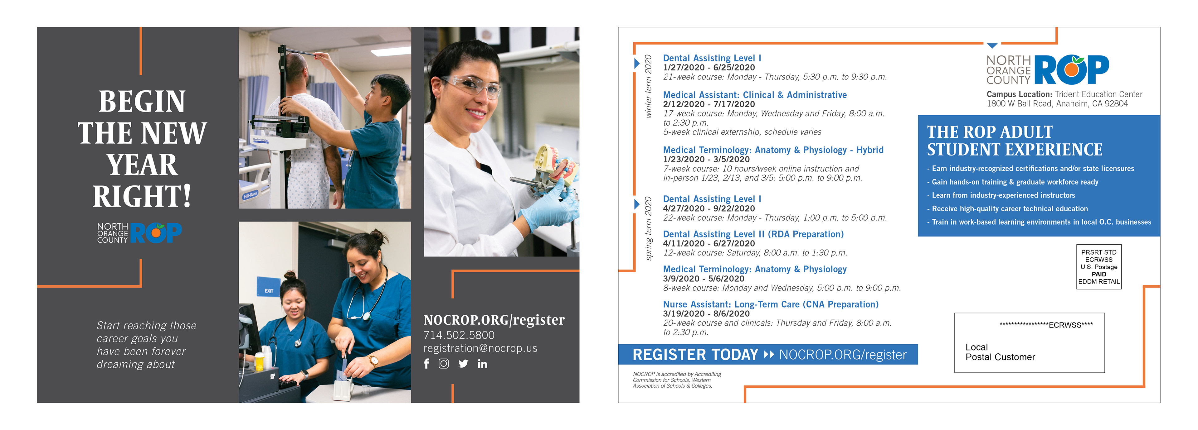 designbybreanne - graphic designer and strategist - North Orange County ROP