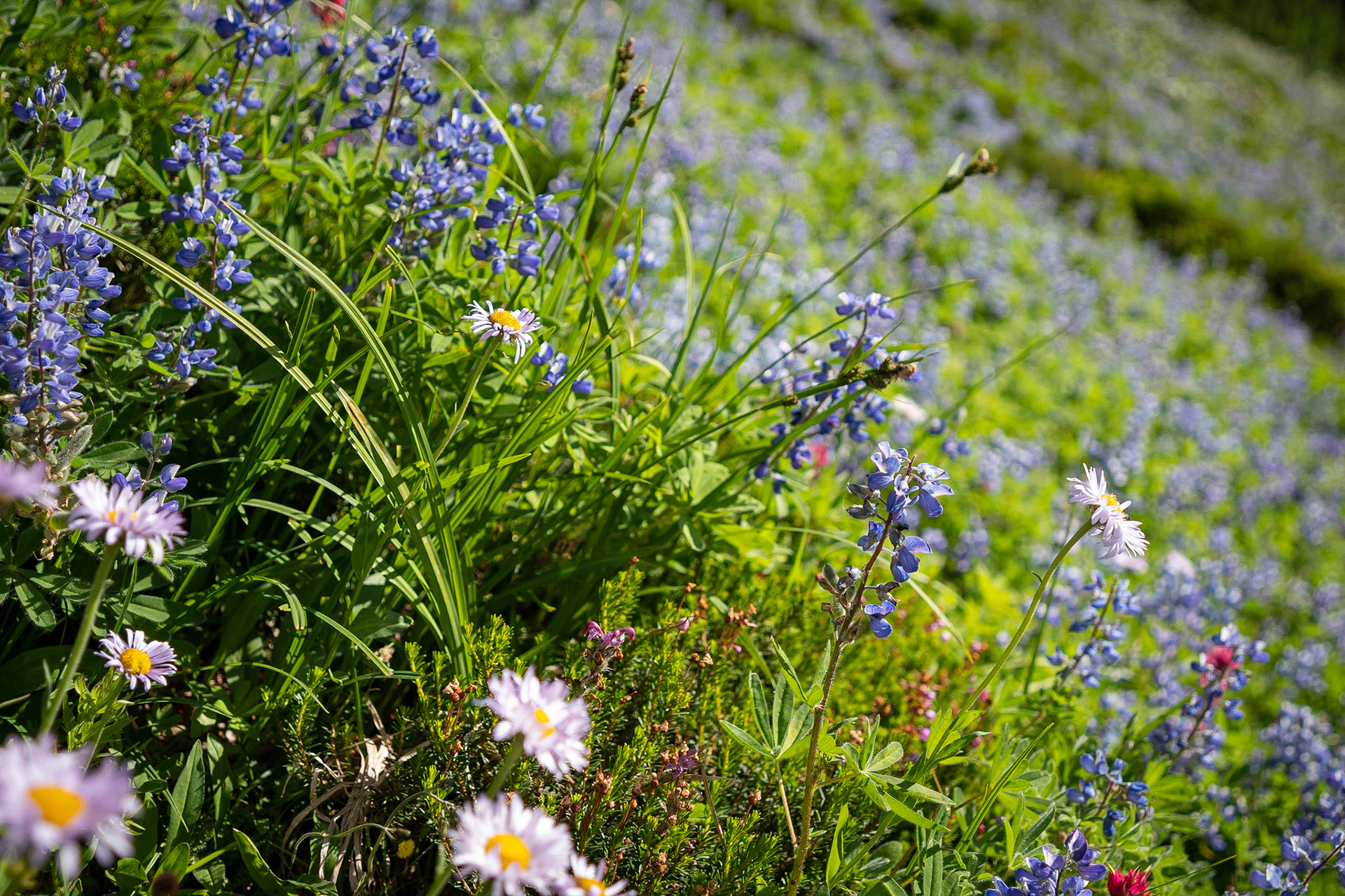 John Zea - Seattle 2019