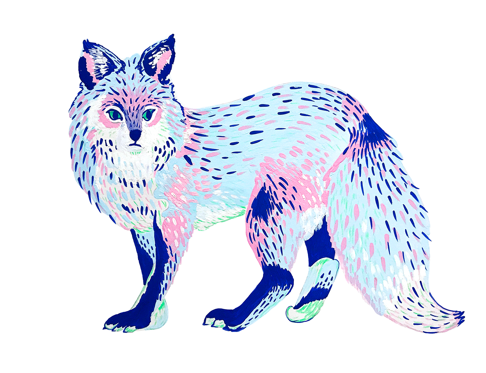 Jordan Jo Design & Illustration - Neon Wildlife