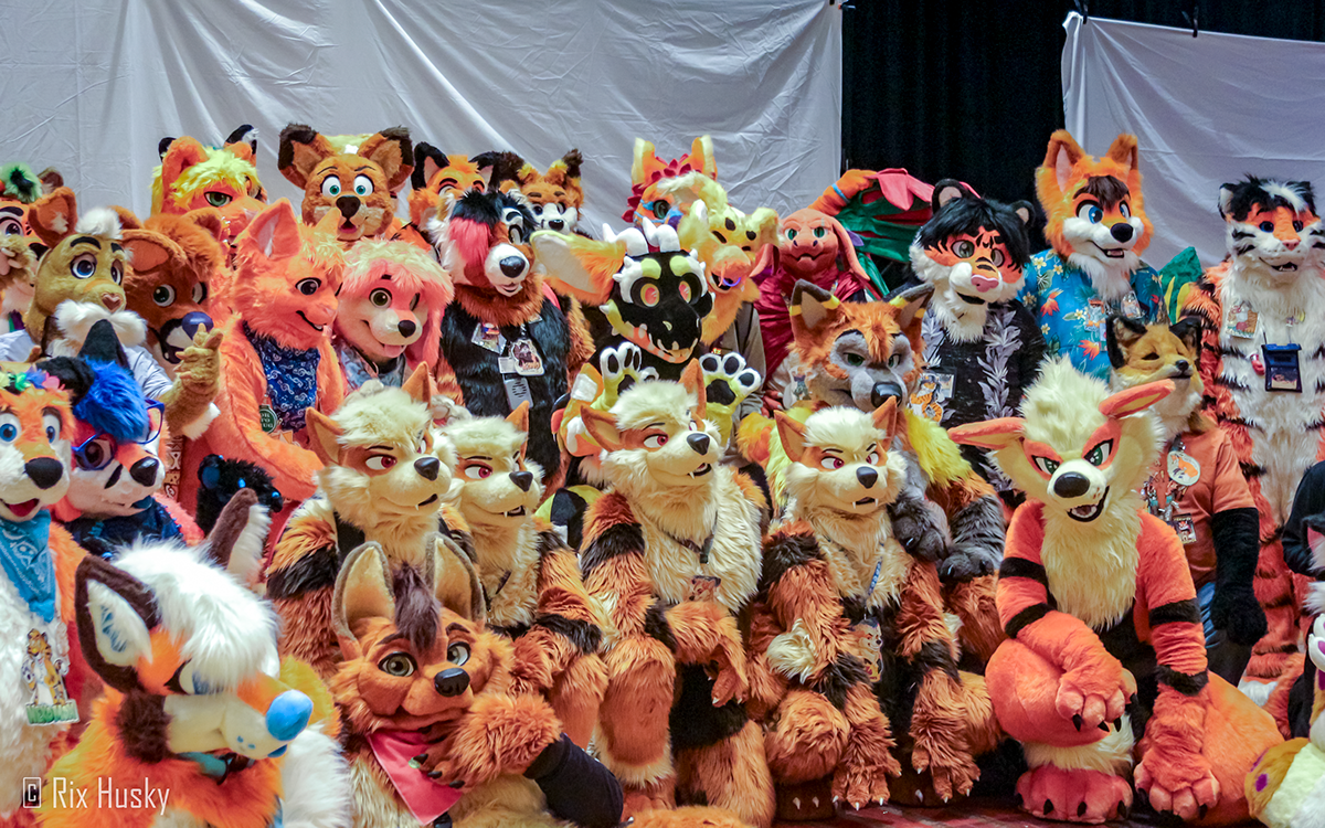 Rix Husky Photography - Midwest FurFest 2019