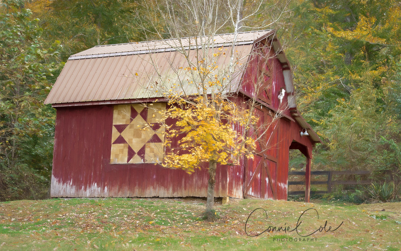 Connie Cole - Country Roads