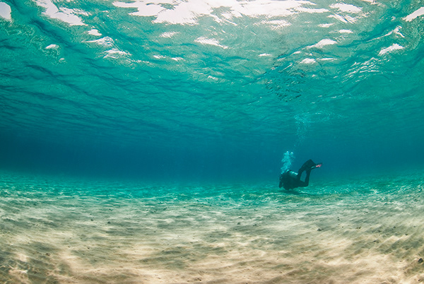 Rich Neely - Contact