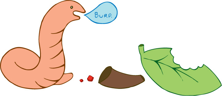 Ashley Turpin - Hungry Worm